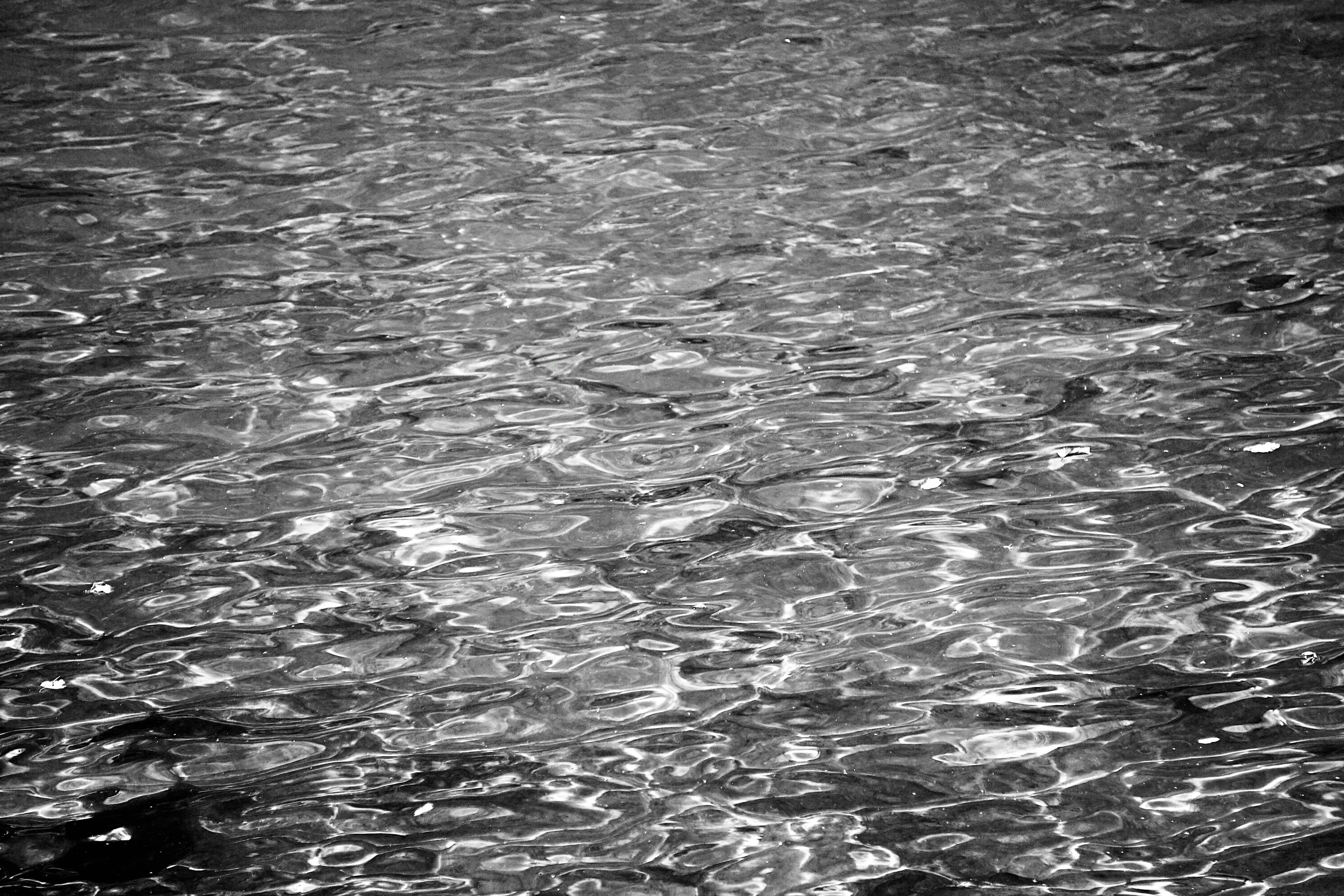Grayscale Photo of a Body of Water · Free Stock Photo