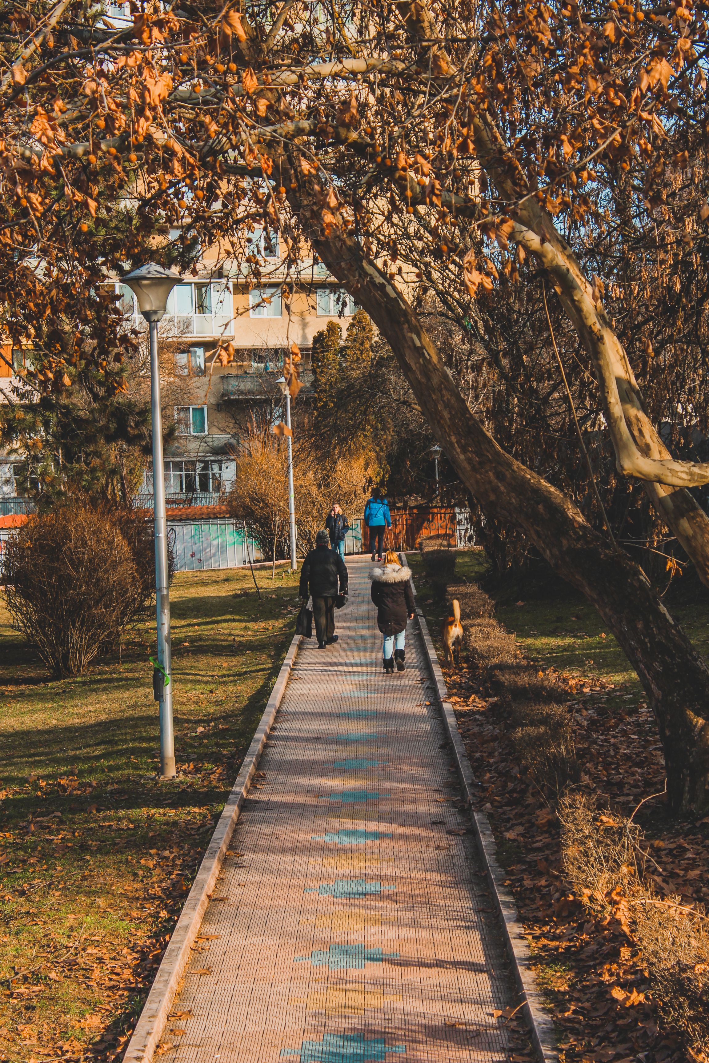 People Walking in Park · Free Stock Photo
