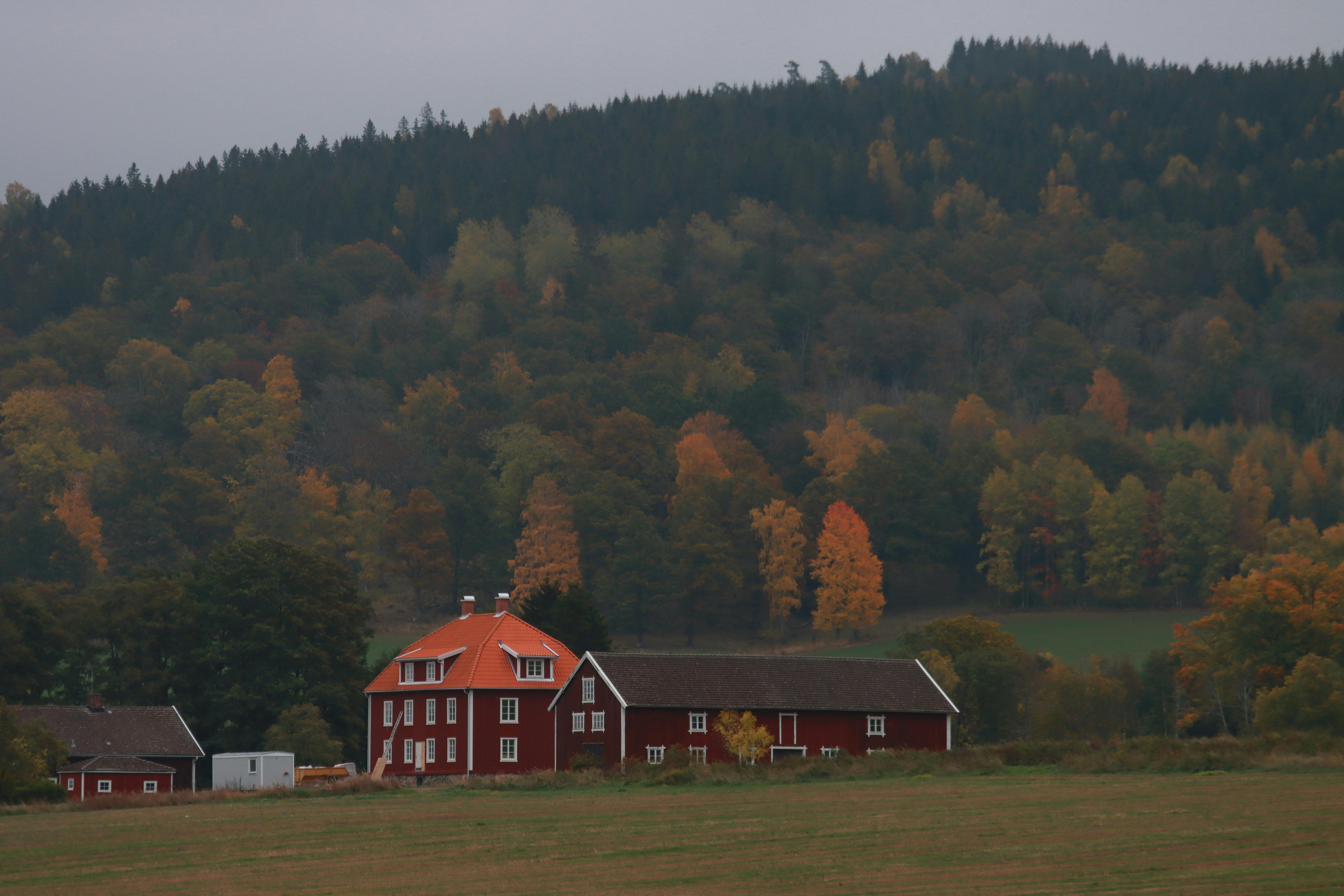 Pixabay Autum Photos, Download Free Pixabay Autum Stock Photos & HD Images