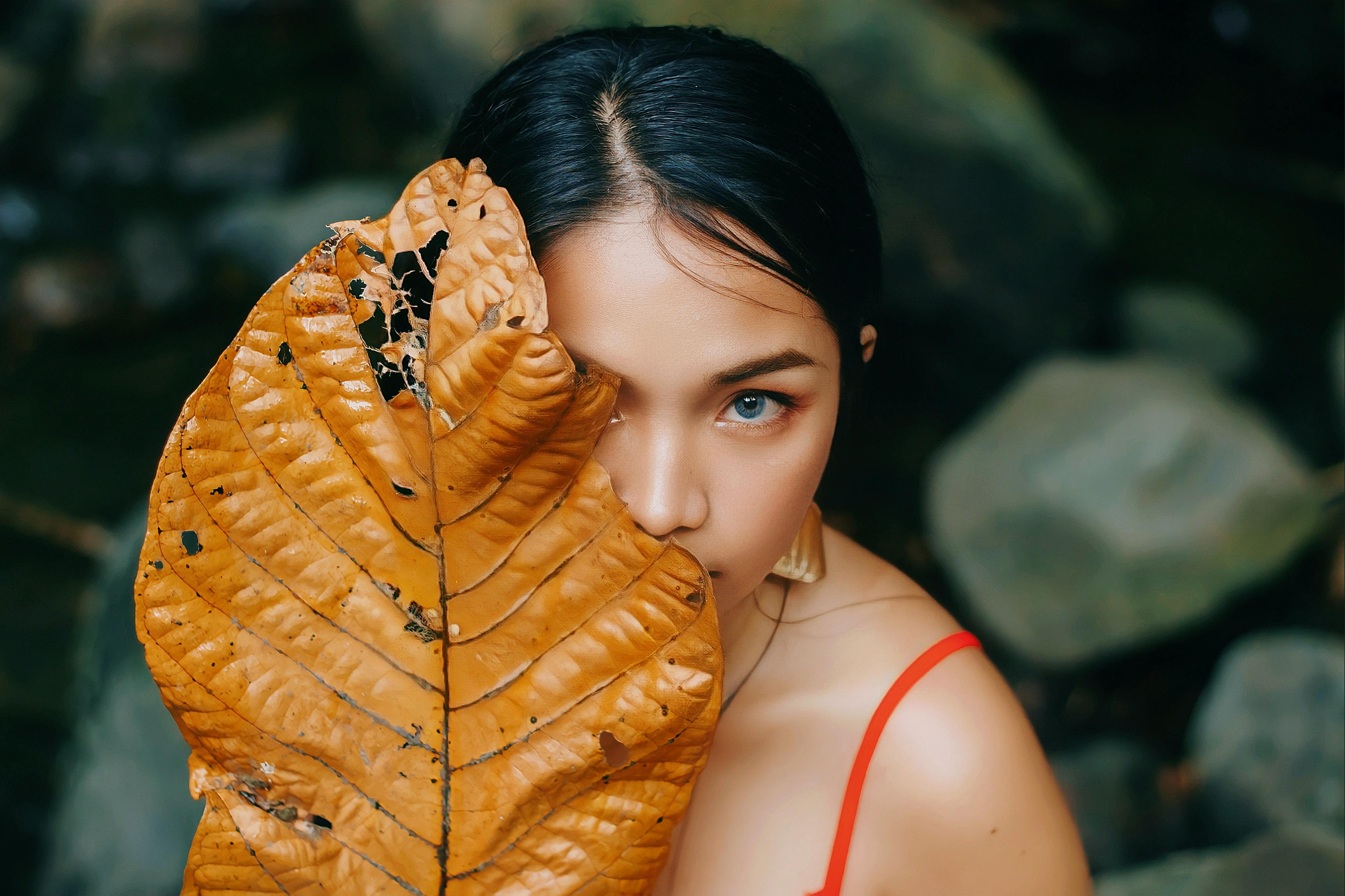 Leaf Valve Photos, Download Free Leaf Valve Stock Photos & HD Images