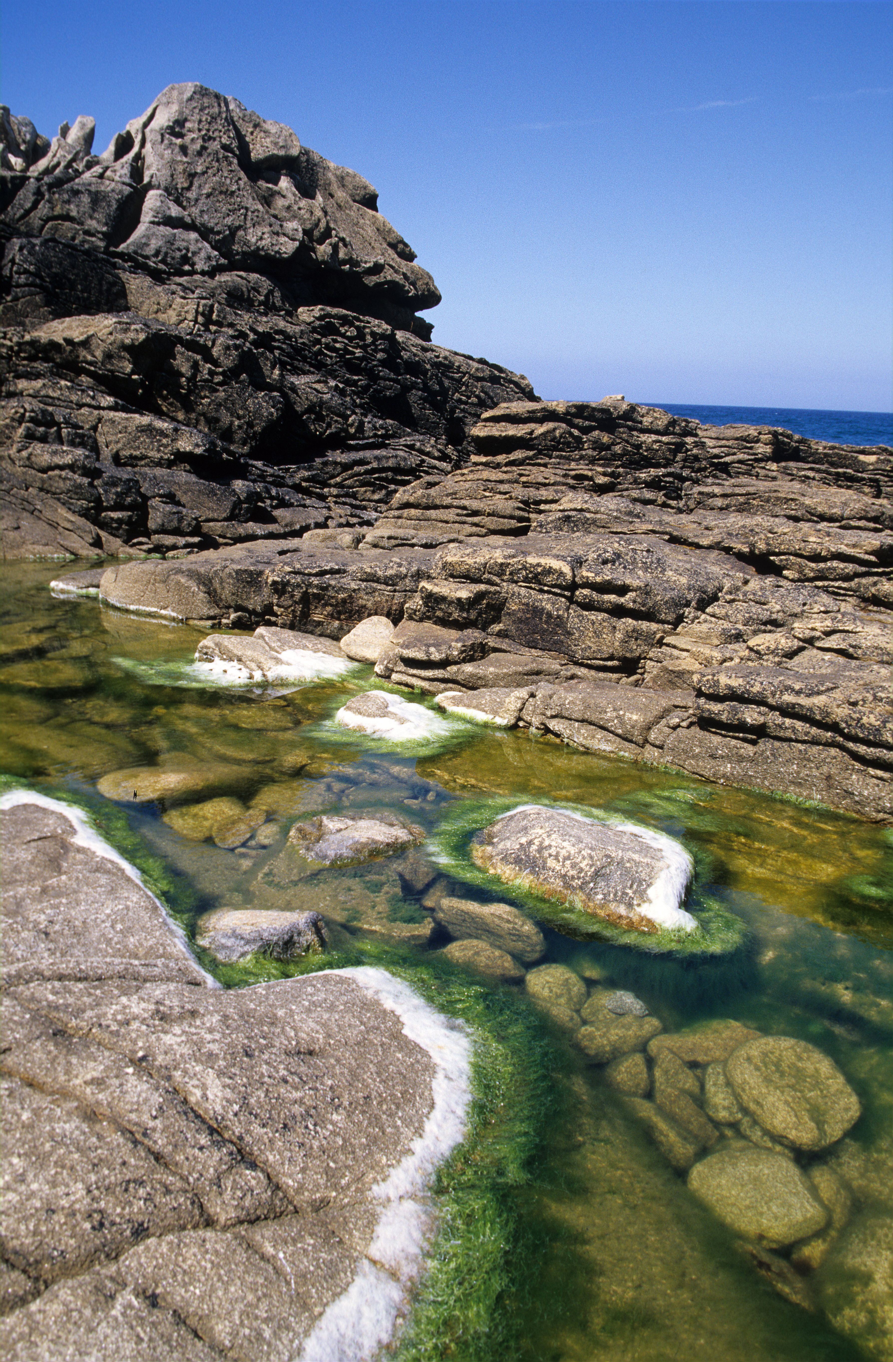 Stream Among the Rocks of a Seaside Cliff · Free Stock Photo