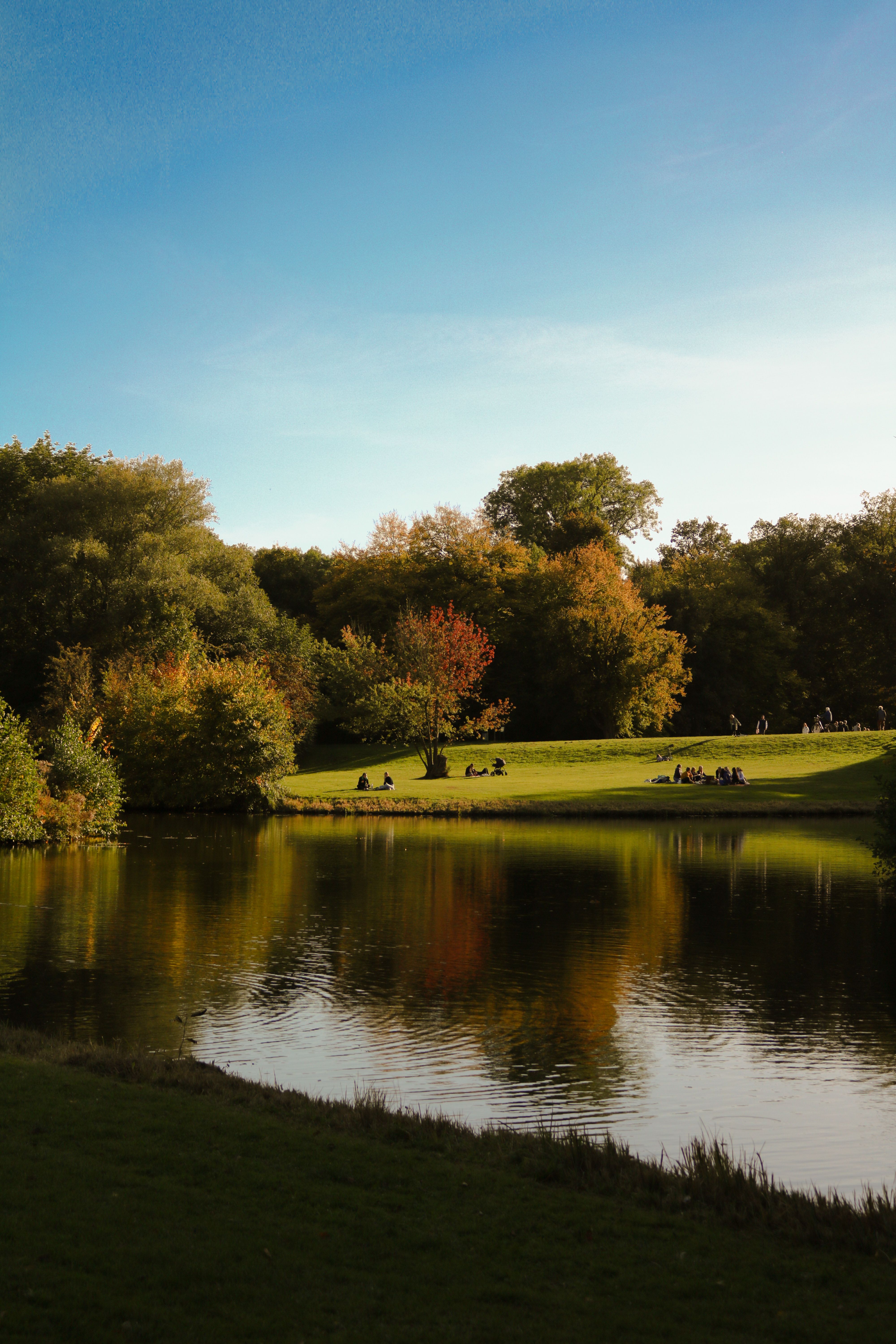 Picnic Area Germany Photos, Download The BEST Free Picnic Area Germany ...