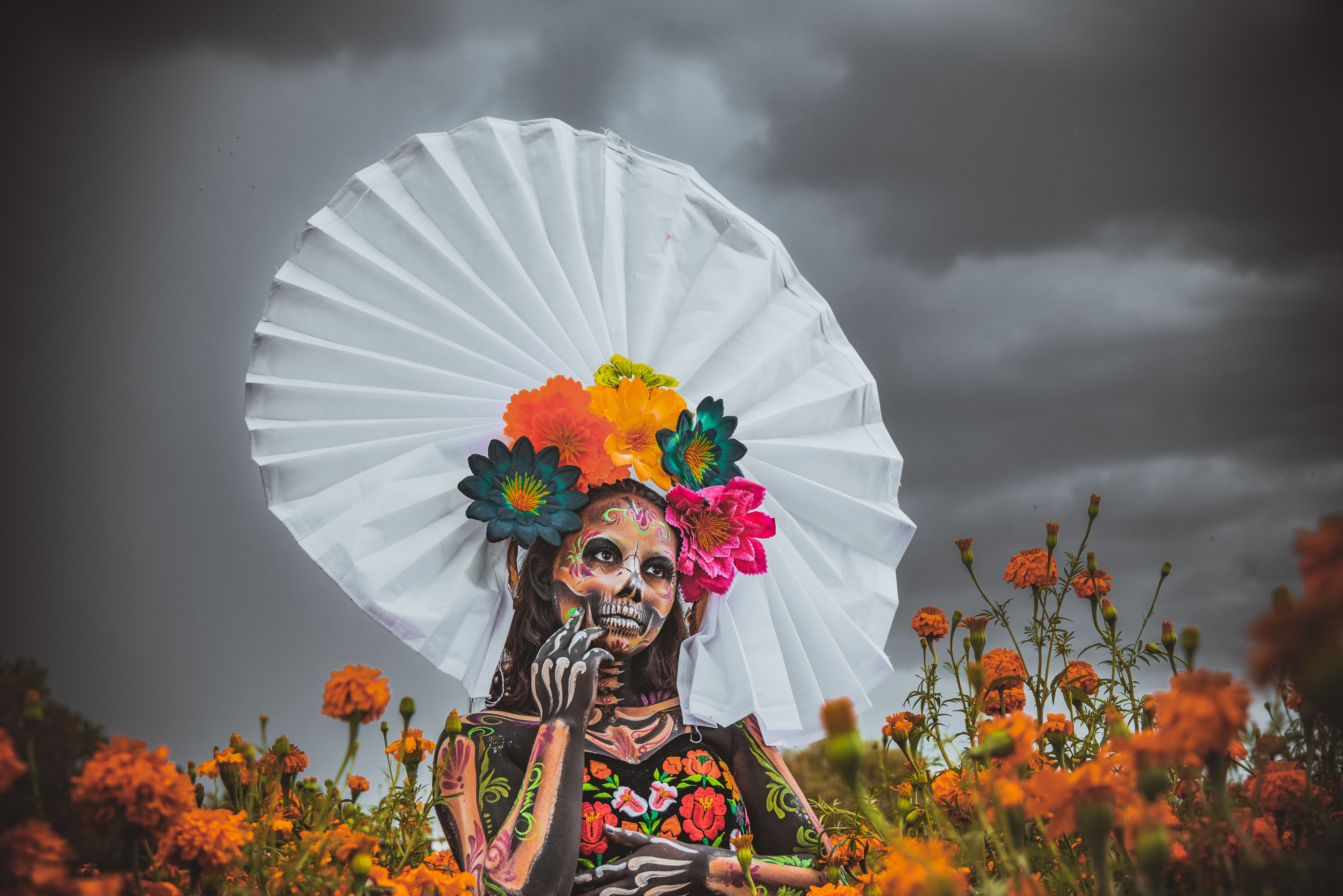 Foto de stock gratuita sobre campo de flores, catrina, dia de los ...