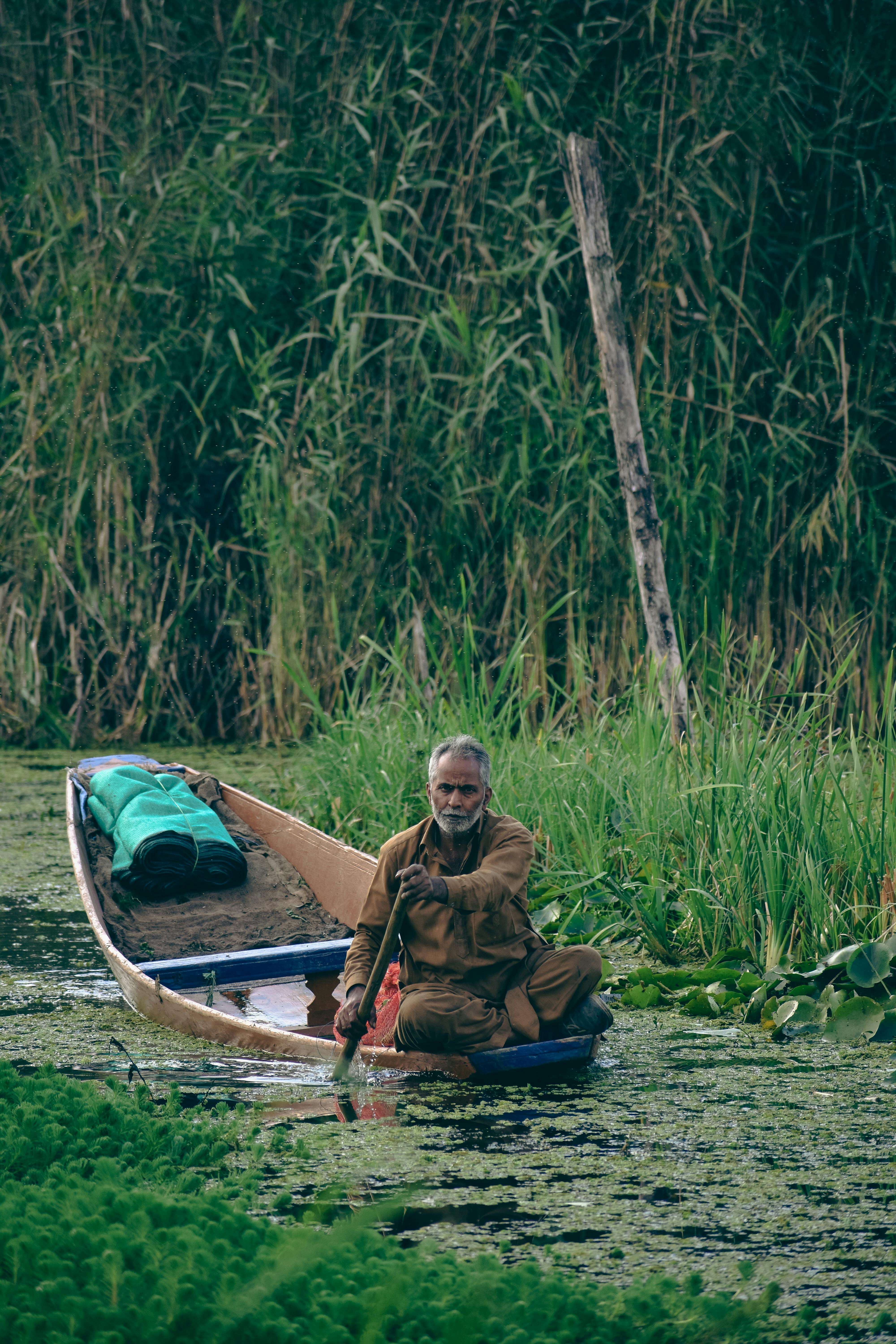 A Man Rowing Boat in a Swamp · Free Stock Photo