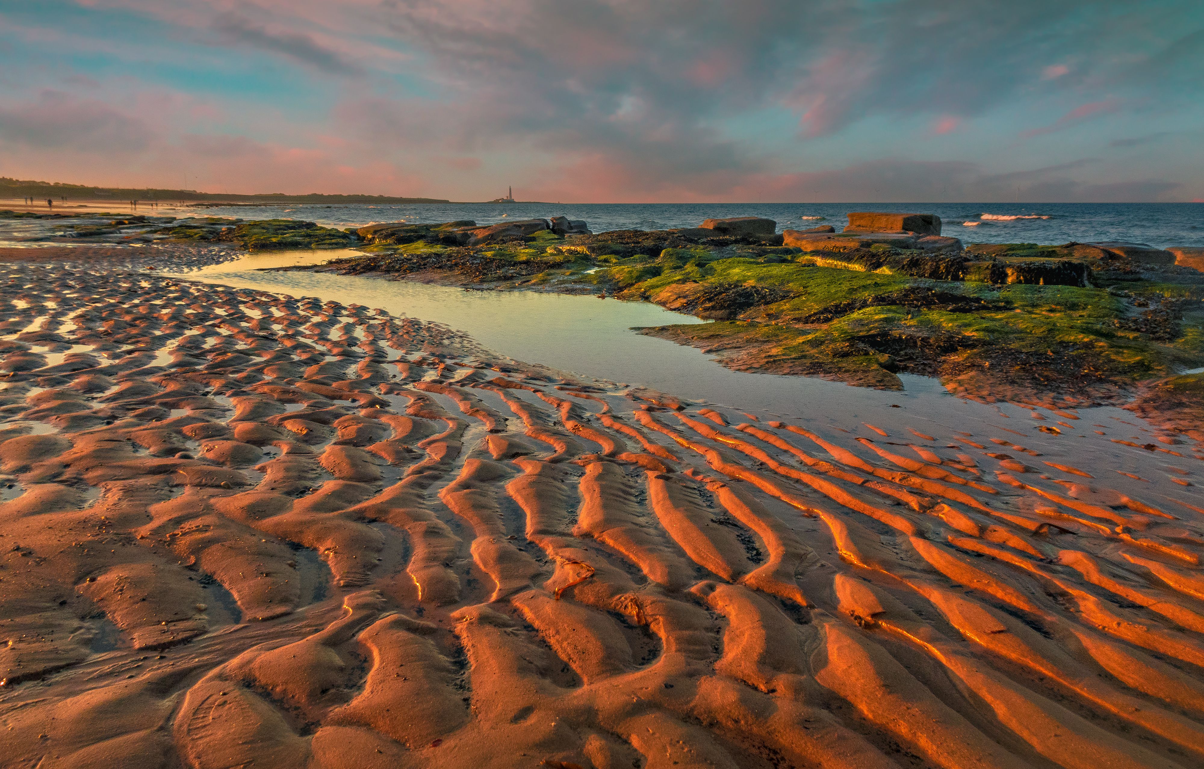 Sand Dunes in the Beach · Free Stock Photo