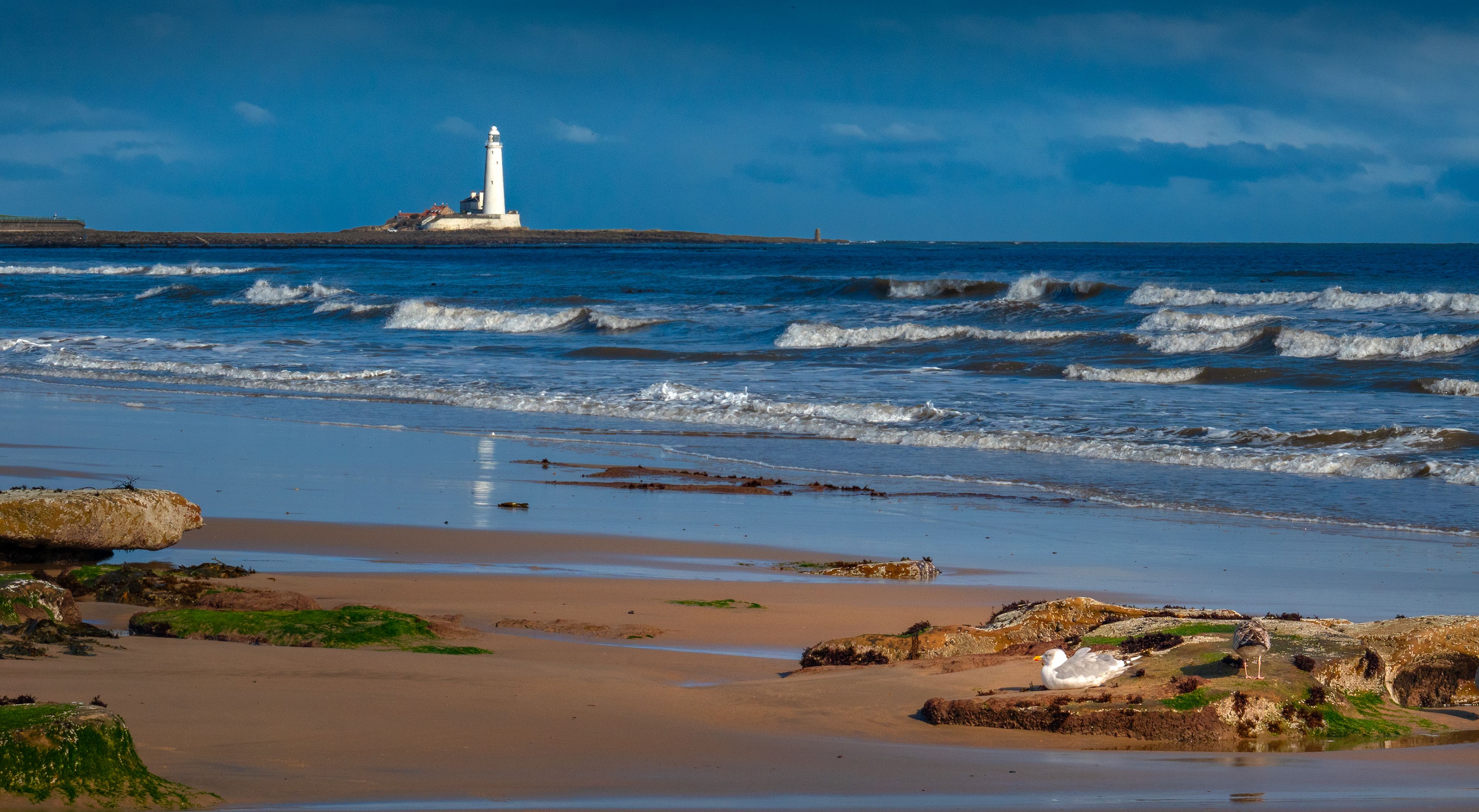 White Lighthouse on Brown Sand Near Body of Water · Free Stock Photo