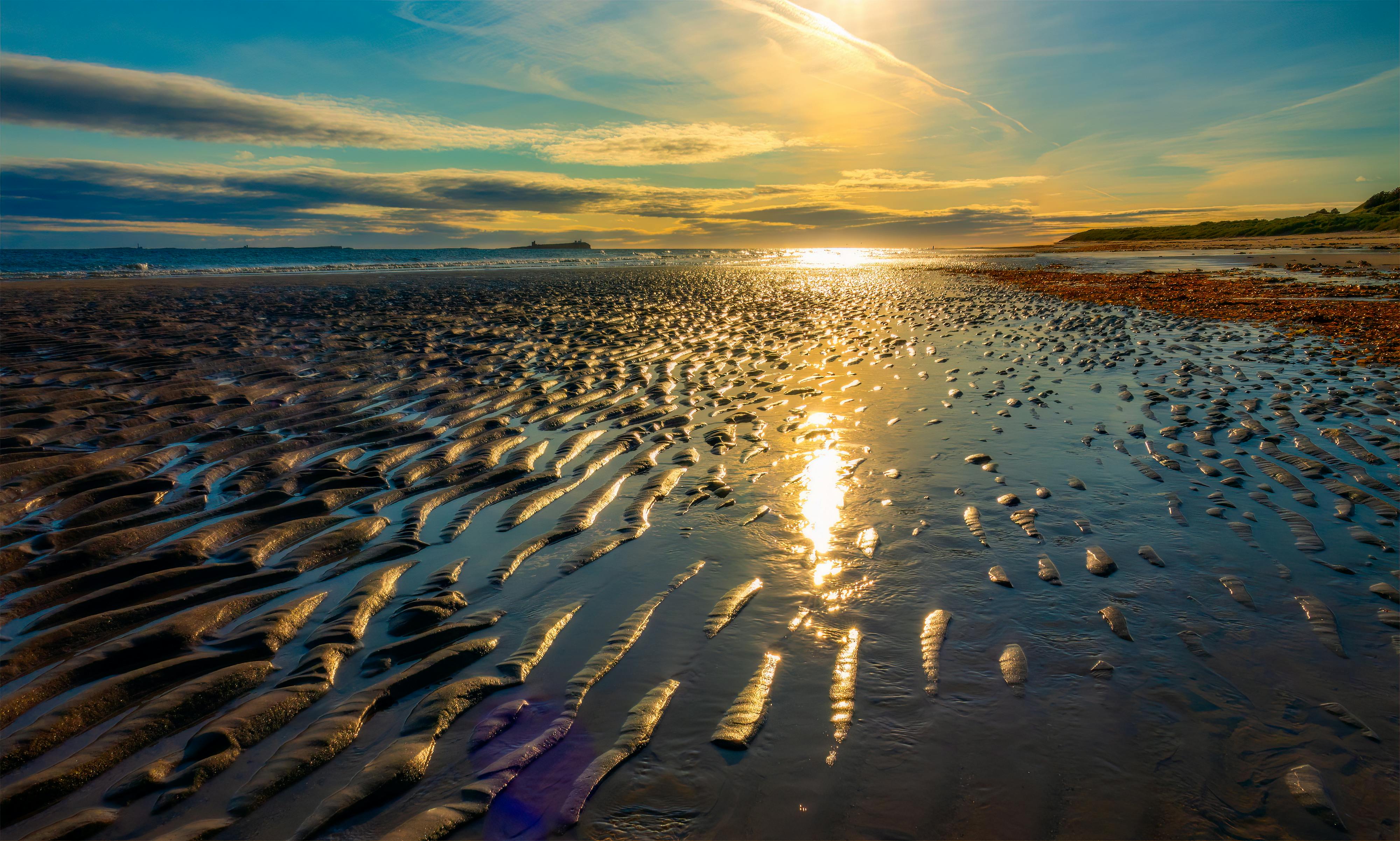 Close-up Photo of Beach · Free Stock Photo