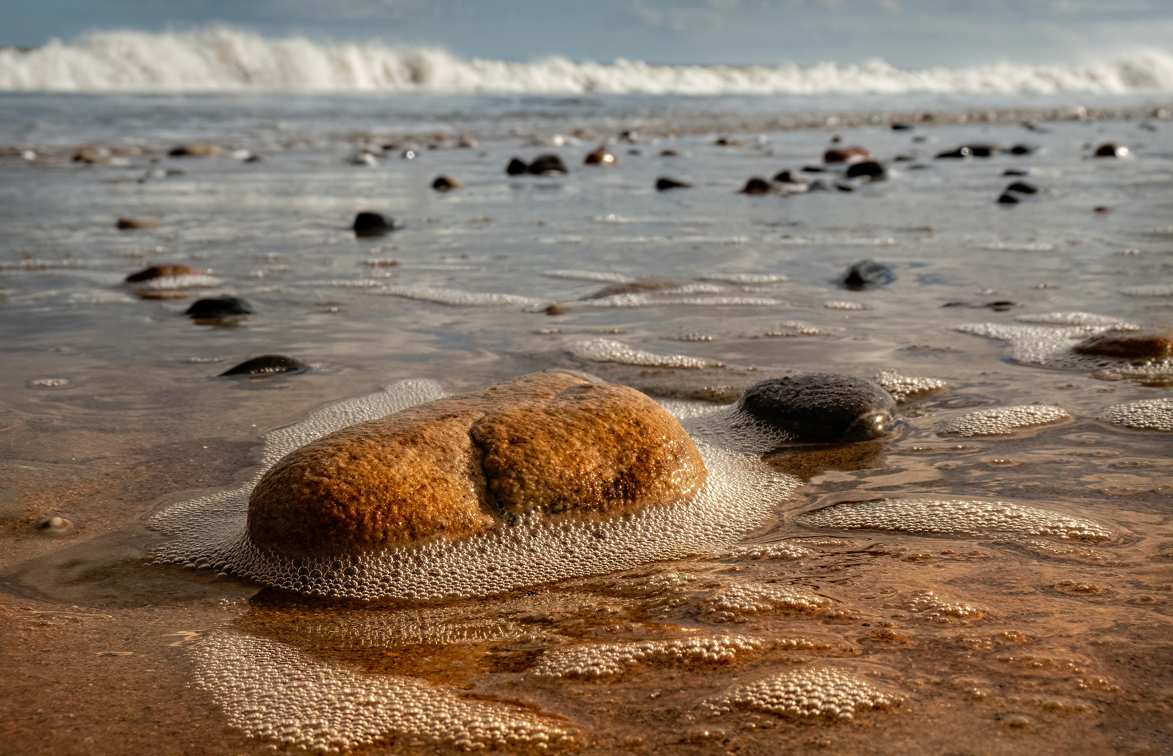 Close-Up Shot of Rocks on the Shore · Free Stock Photo