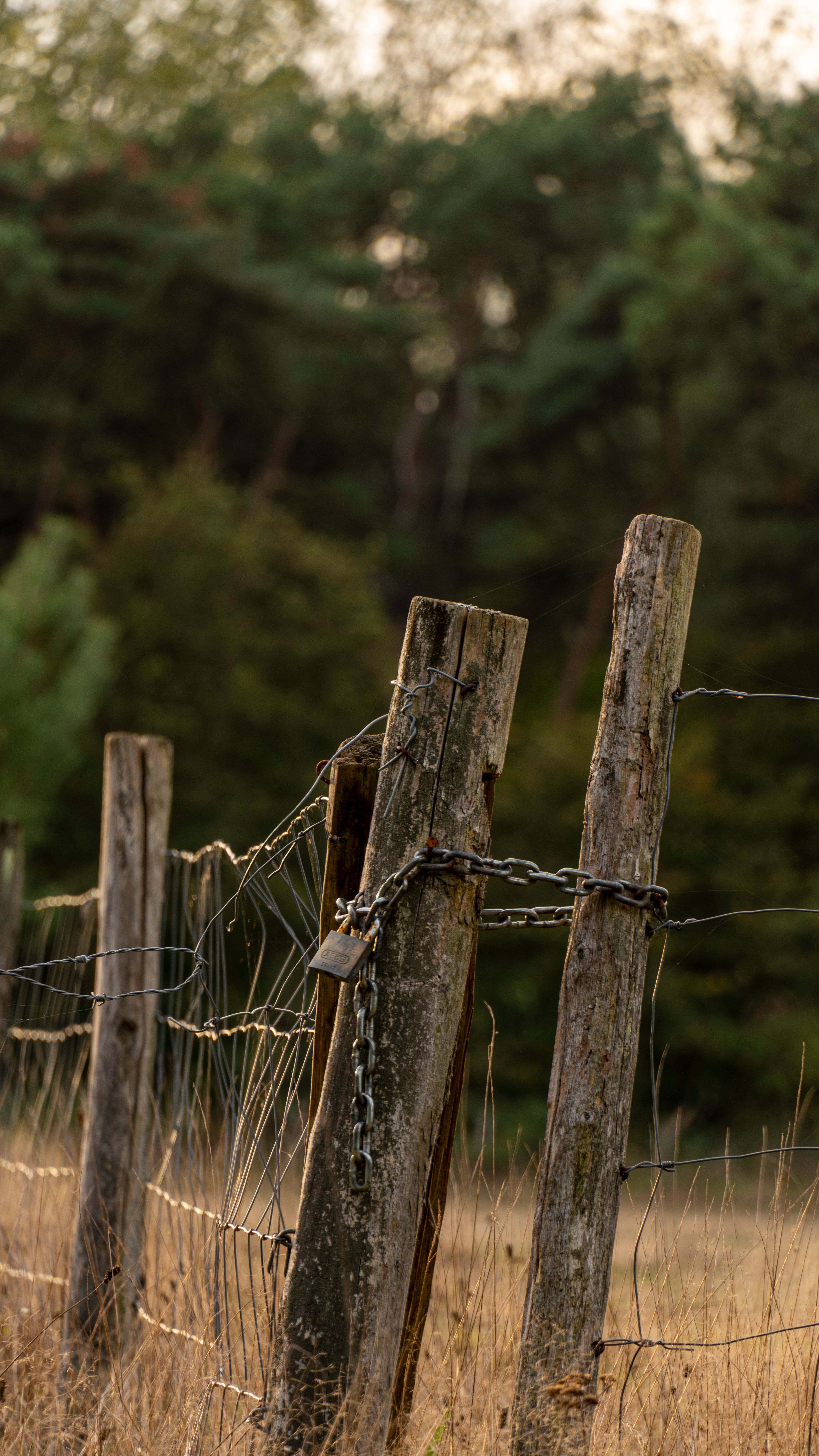 locked up · Free Stock Photo