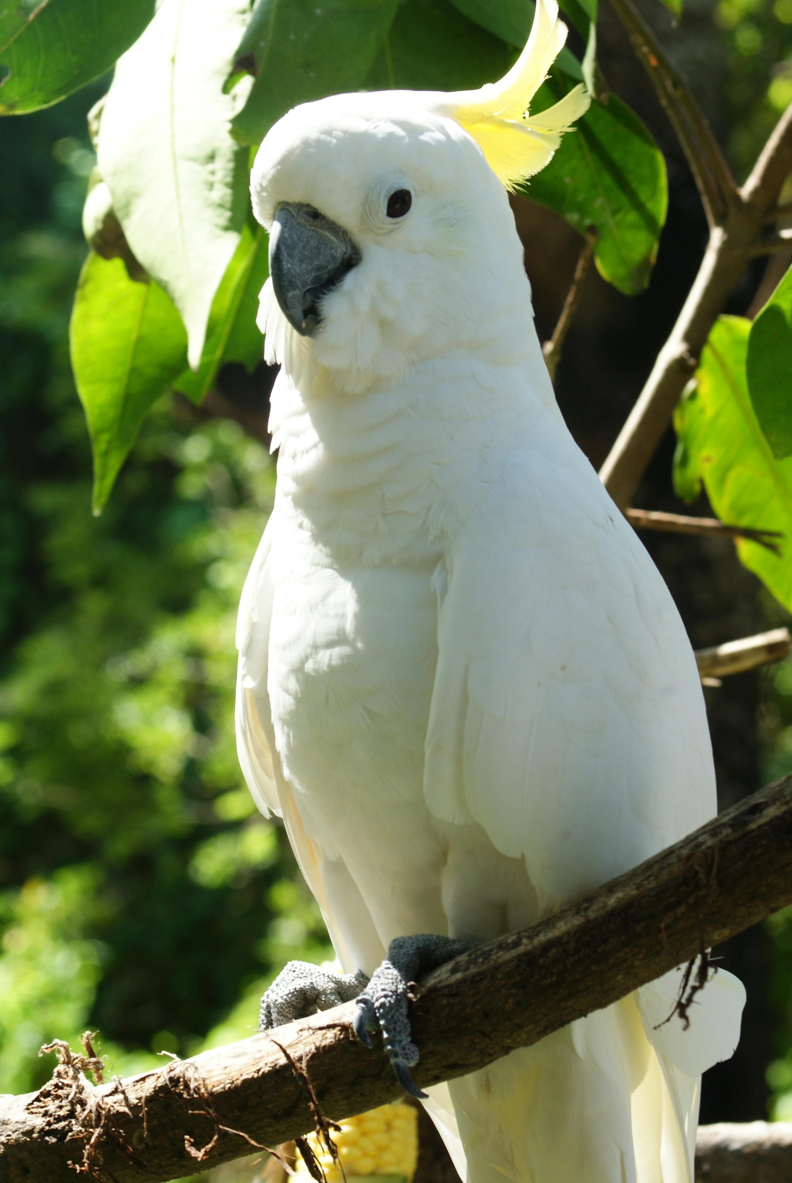 Animal 13 Photos & Videos Collected by Rafi Ashraf