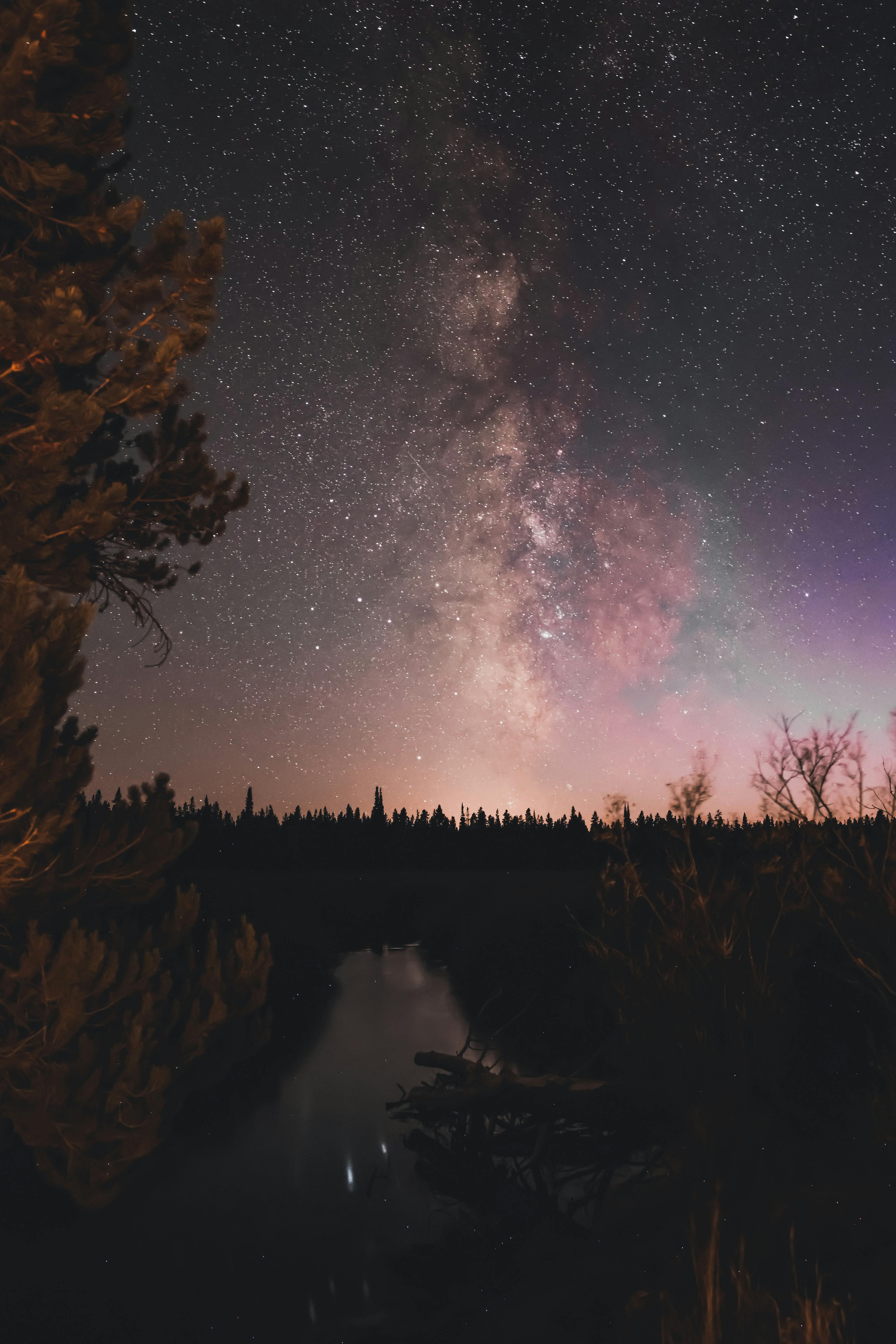 Stars on Night Sky · Free Stock Photo