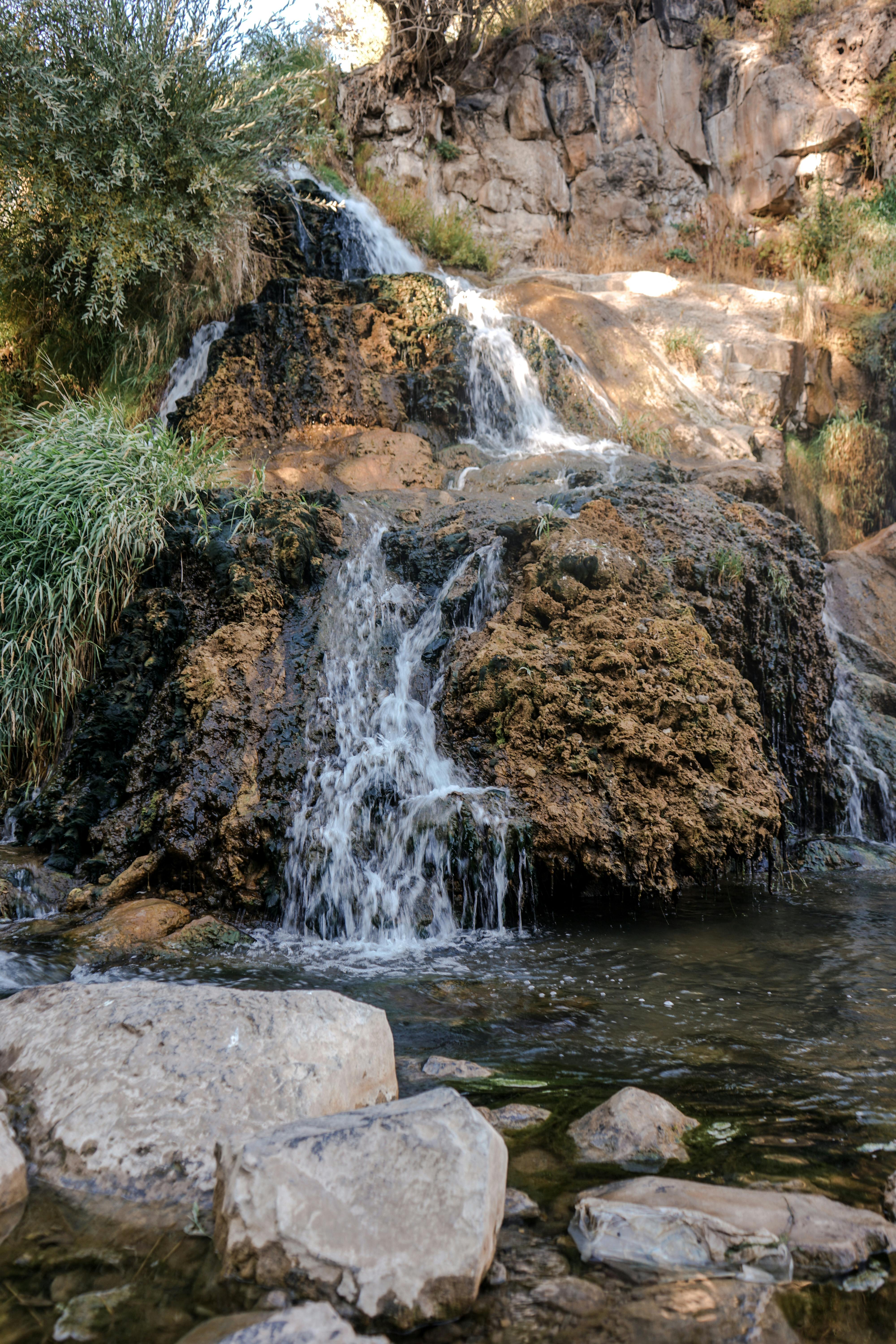 Waterfall on Rocks in Park · Free Stock Photo