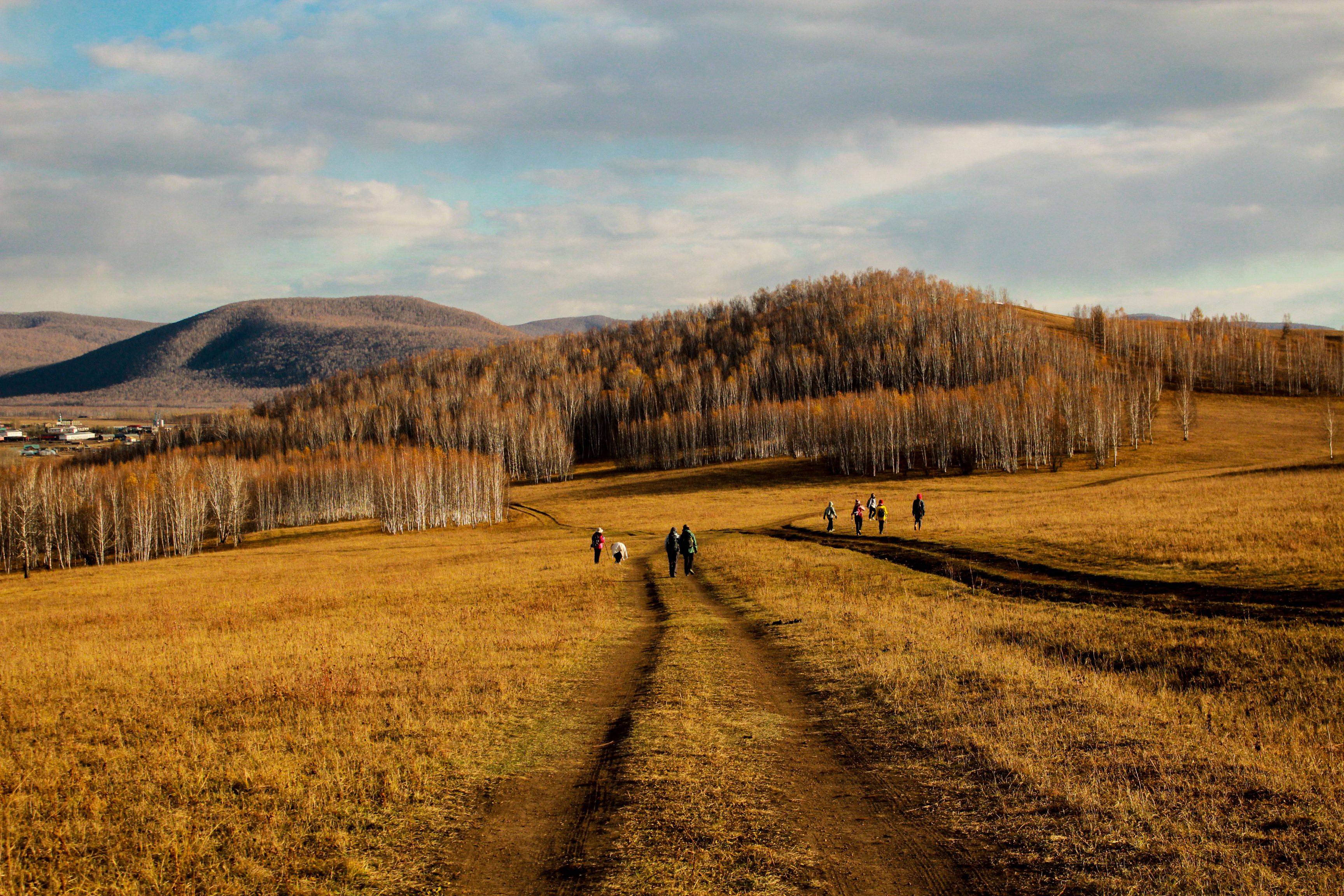 Hiking Forest Photos, Download The BEST Free Hiking Forest Stock Photos ...