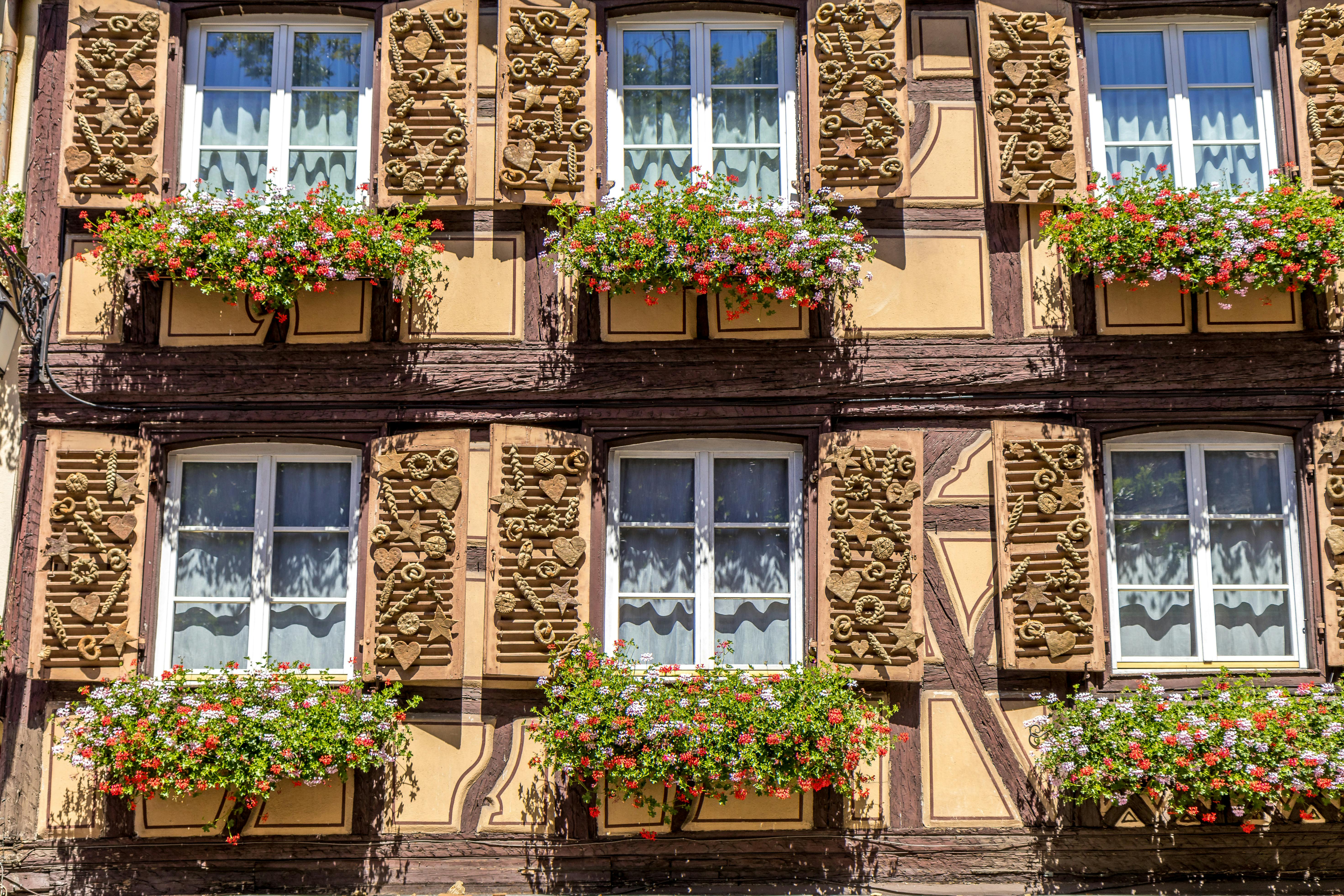 Windows with Flower Decorations · Free Stock Photo