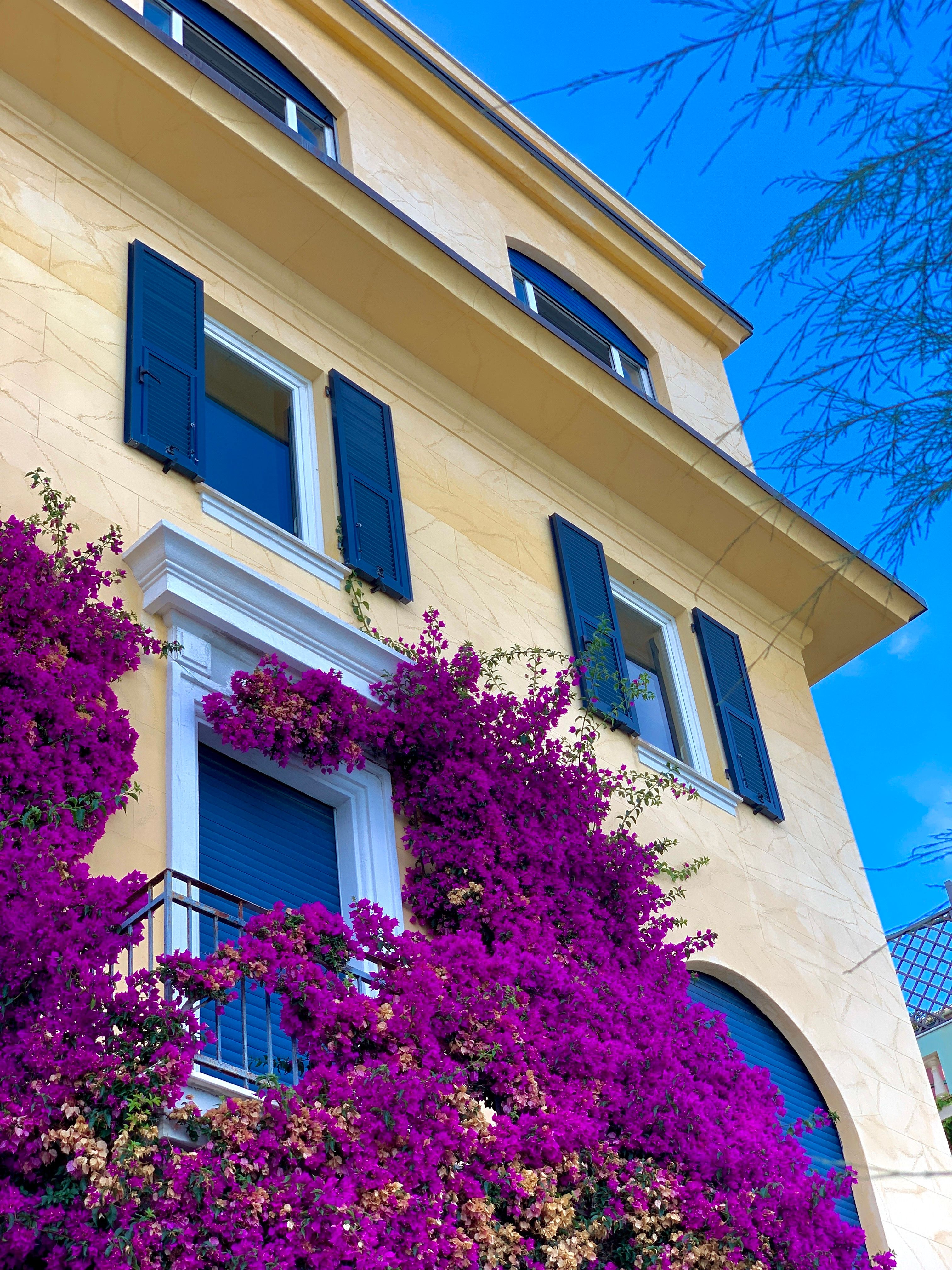 Windows 11 Bloom Photos, Download The BEST Free Windows 11 Bloom Stock ...