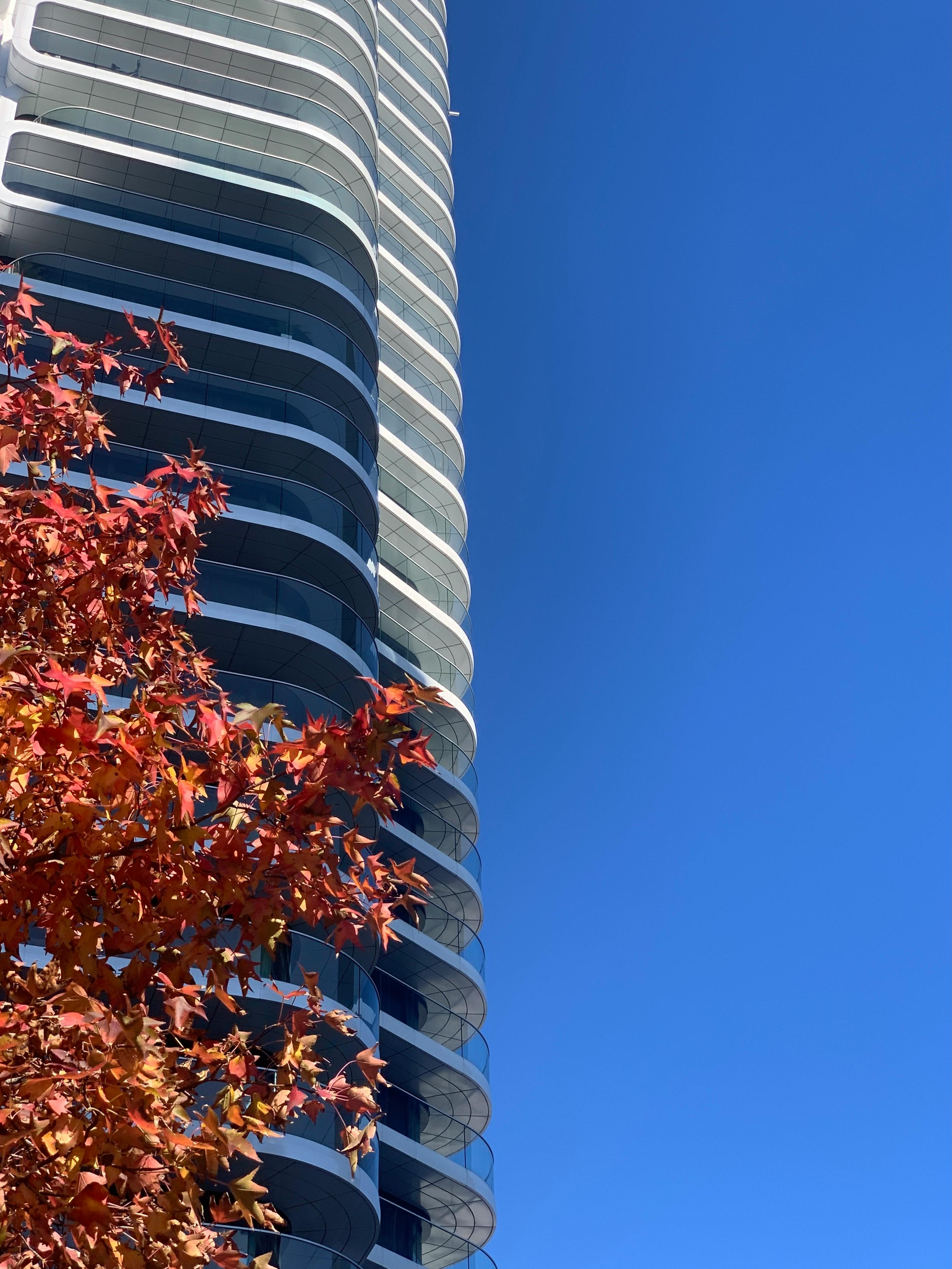 Skyscraper Architect Photos, Download The BEST Free Skyscraper ...