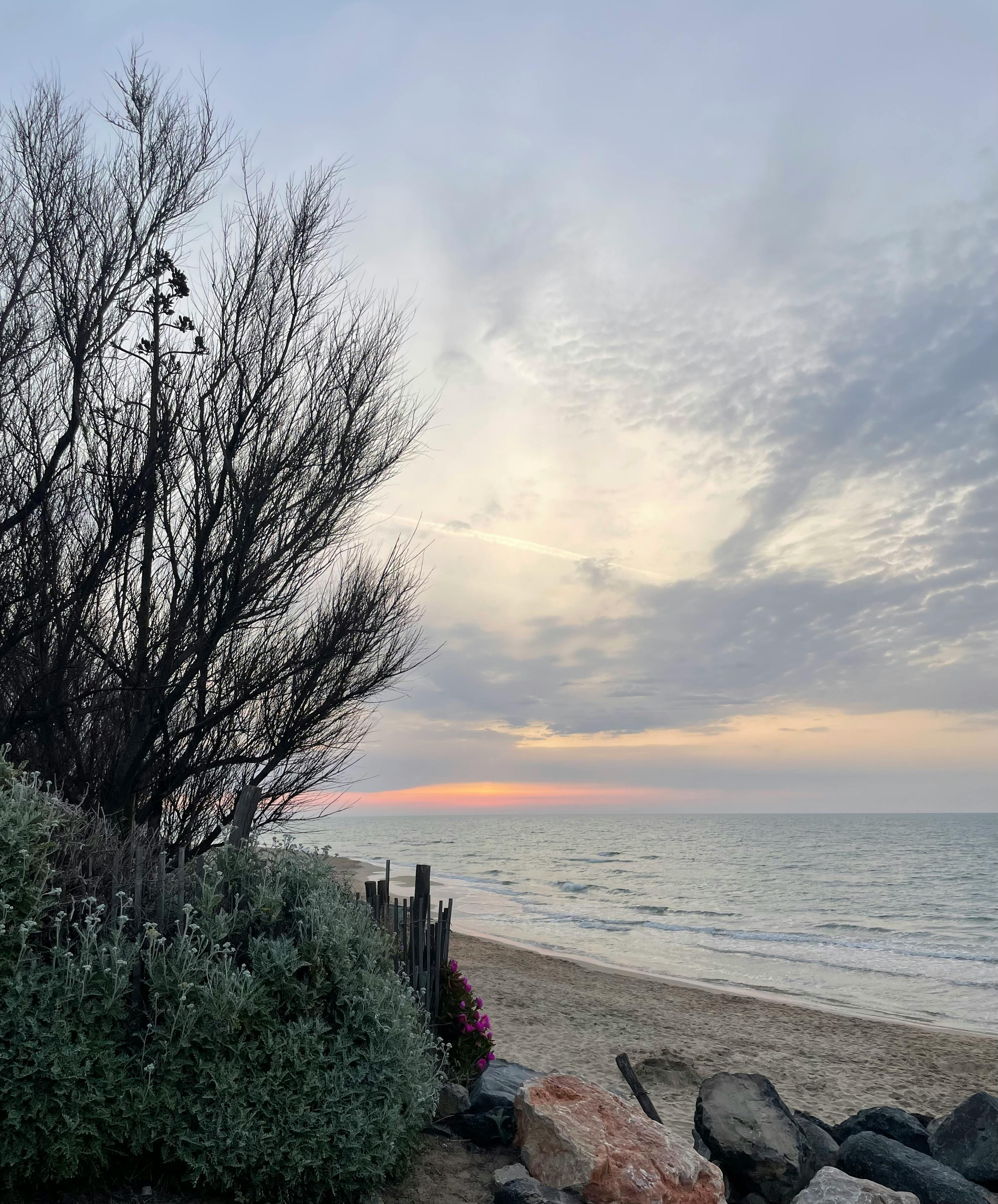 Beach at Dawn · Free Stock Photo
