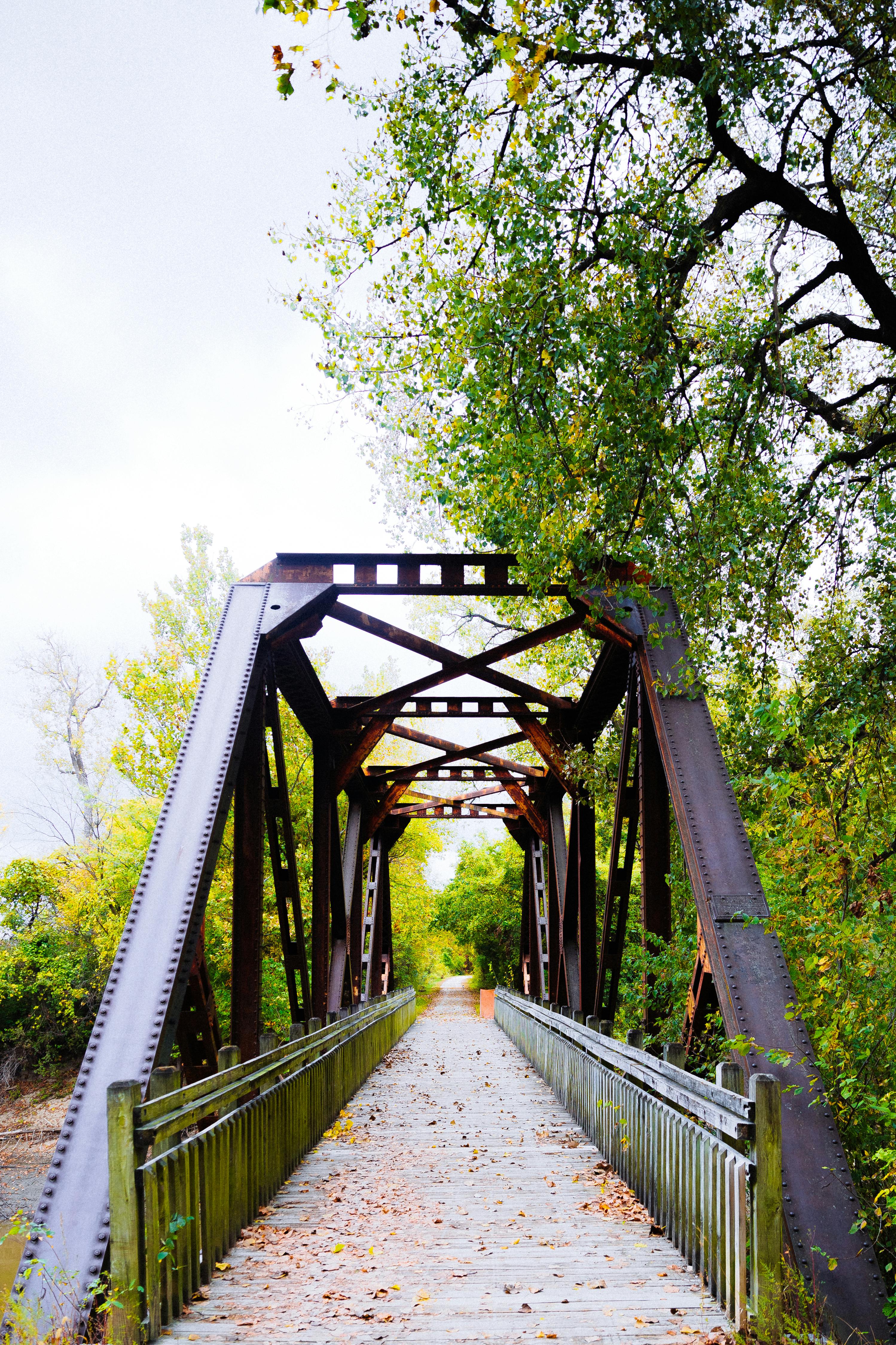 Steel Bridge over Green Trees · Free Stock Photo