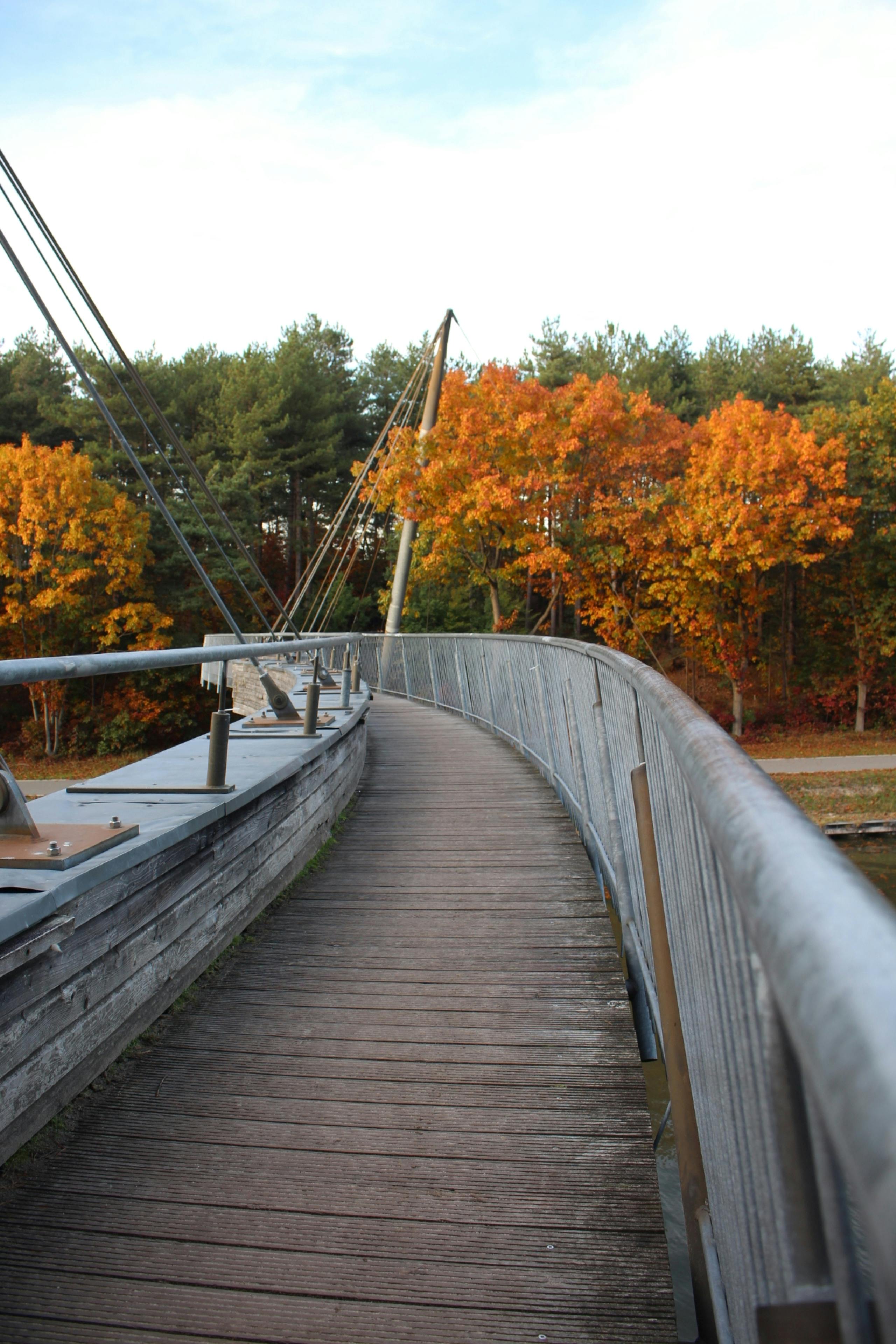 Bridge Over A River · Free Stock Photo