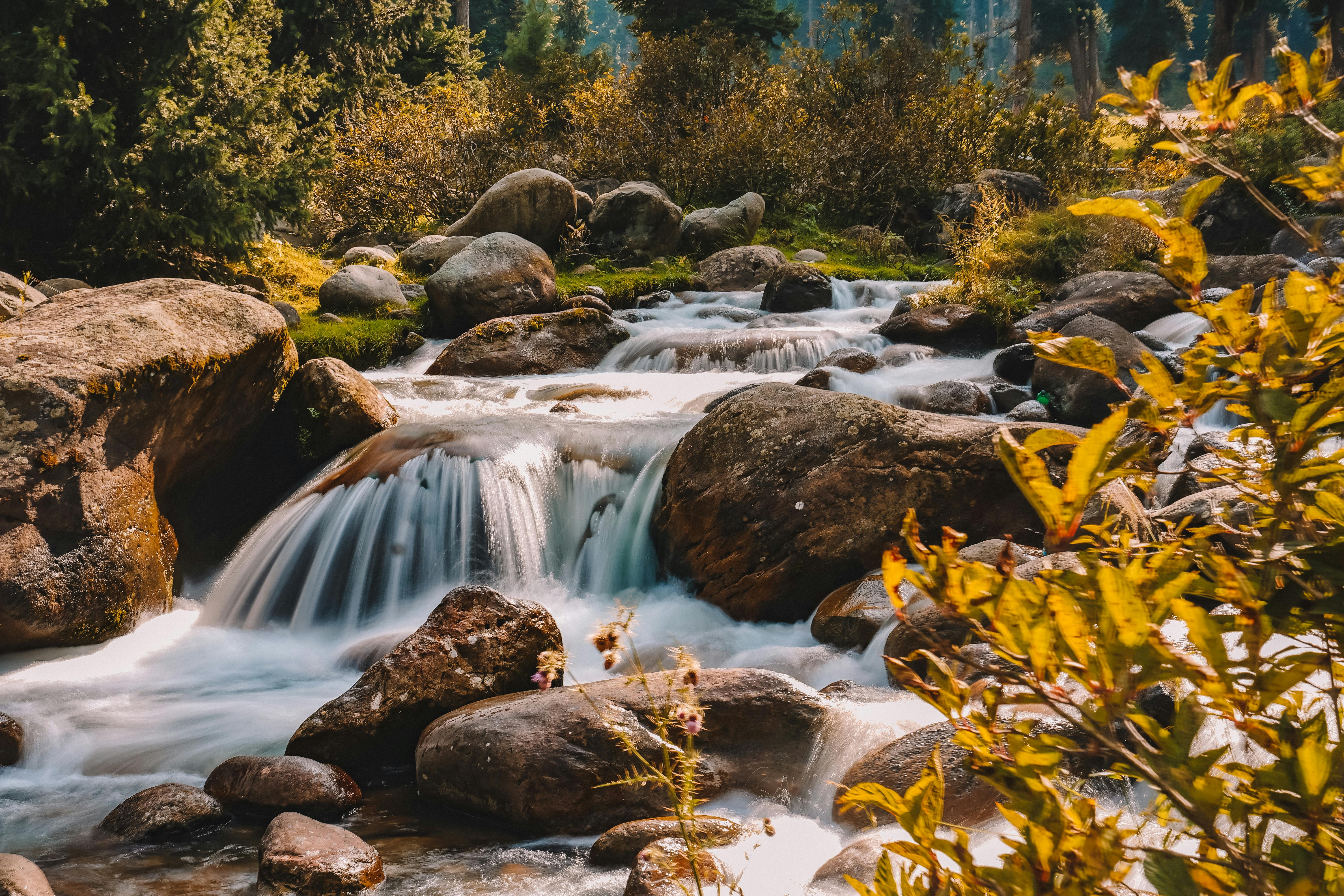 A Flowing River with Rocks · Free Stock Photo
