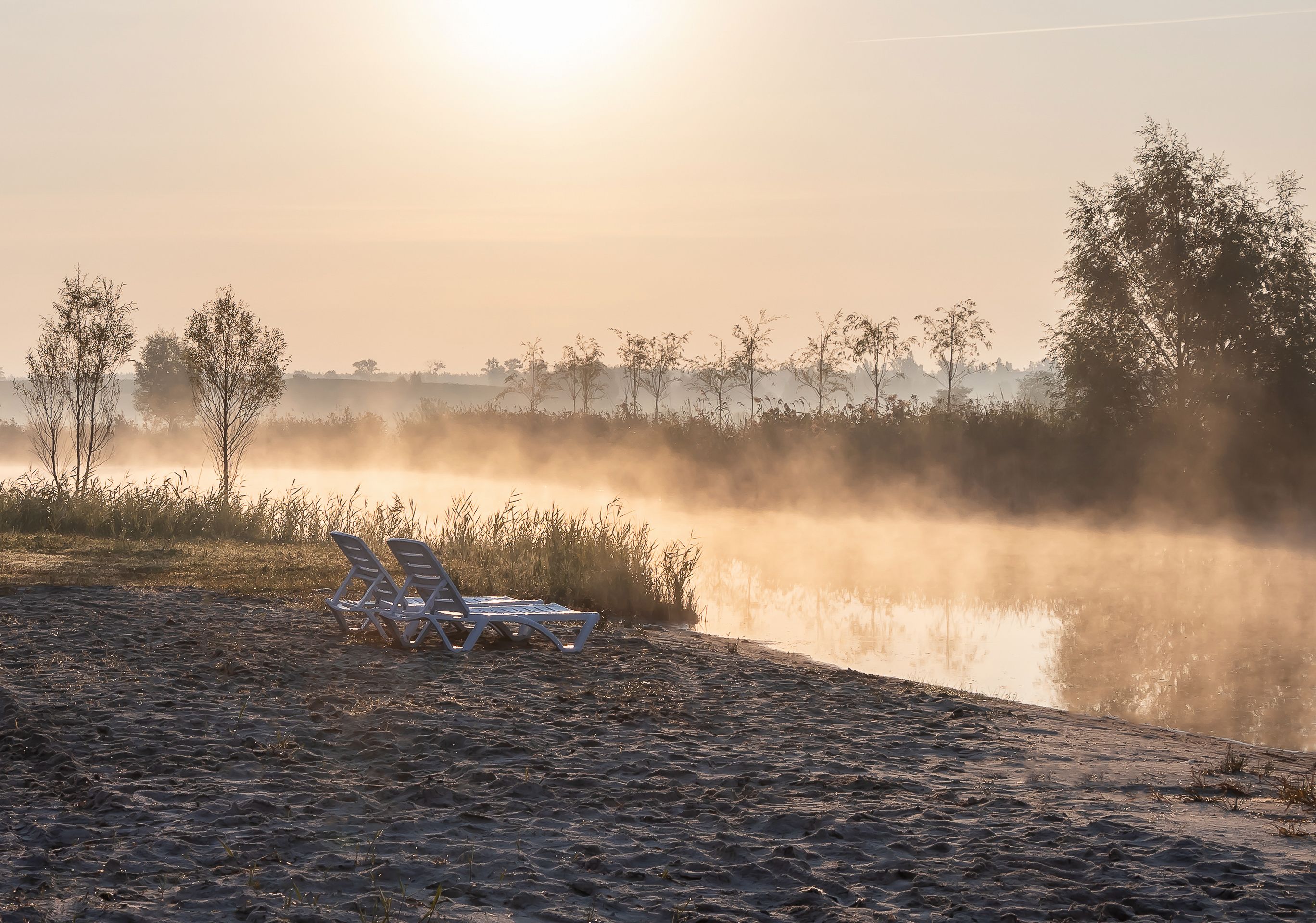 Photo of a Riverbank with Plants · Free Stock Photo