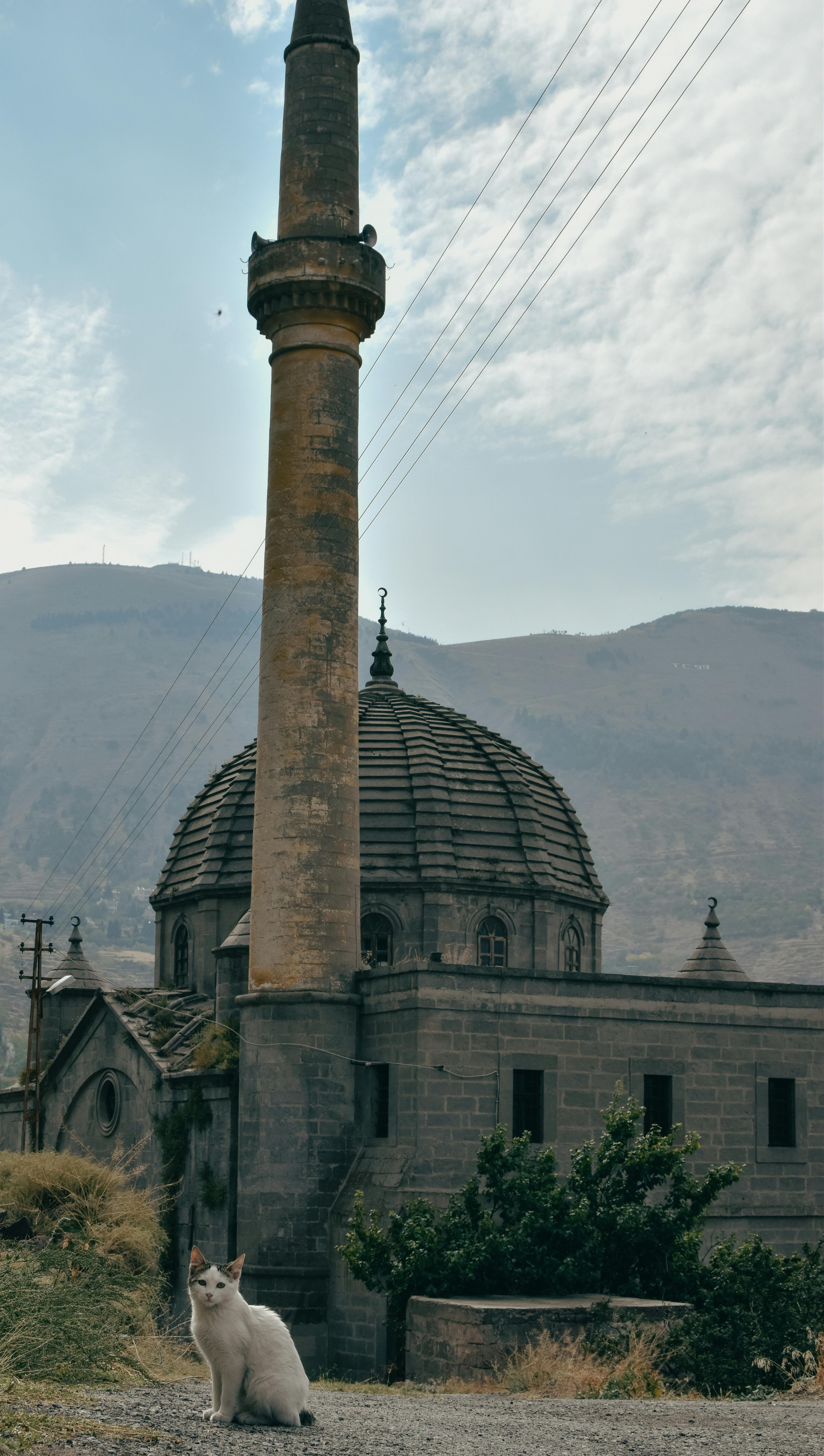 Animated Mosque Photos, Download The BEST Free Animated Mosque Stock ...