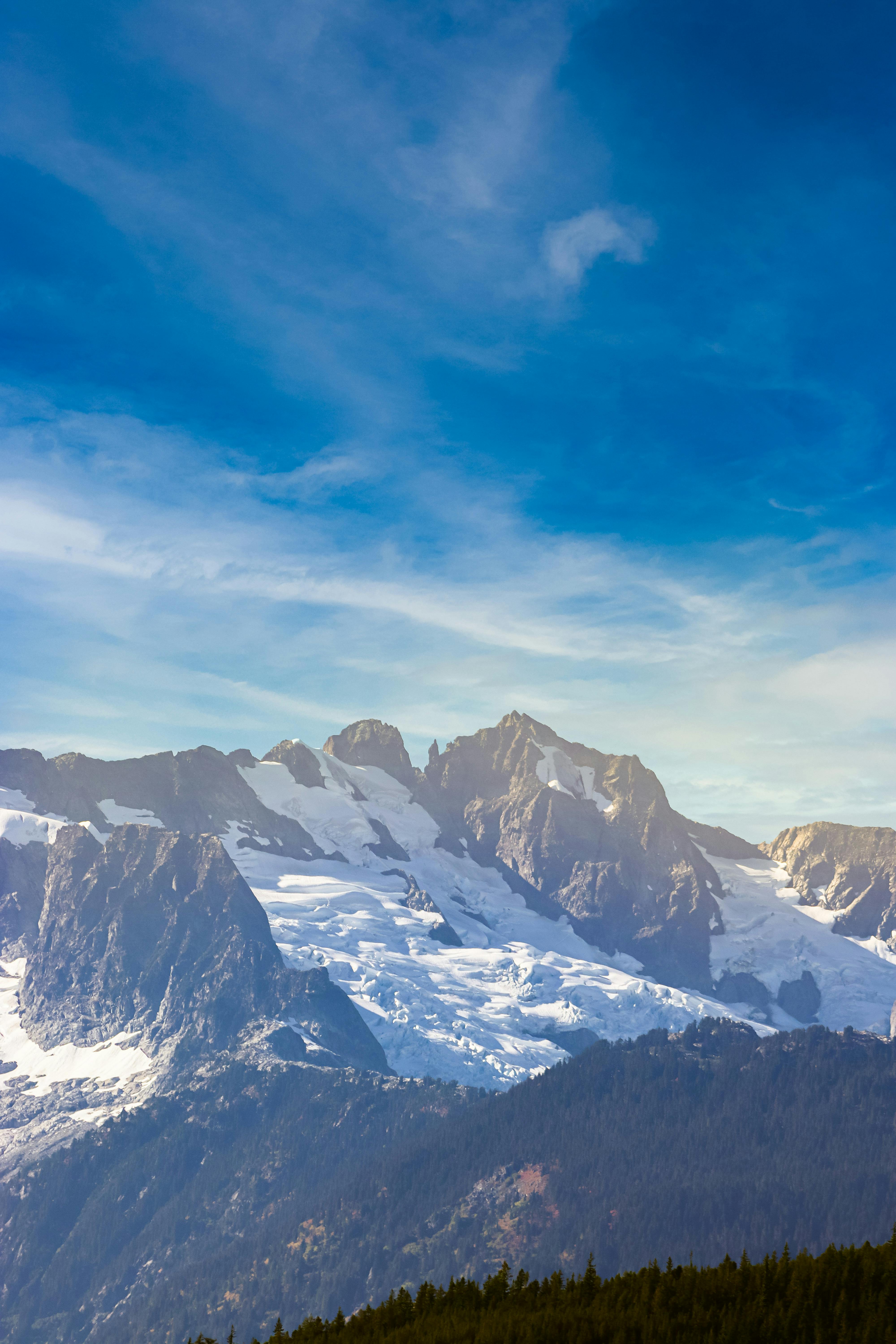 Forest on Hill under Mountain · Free Stock Photo