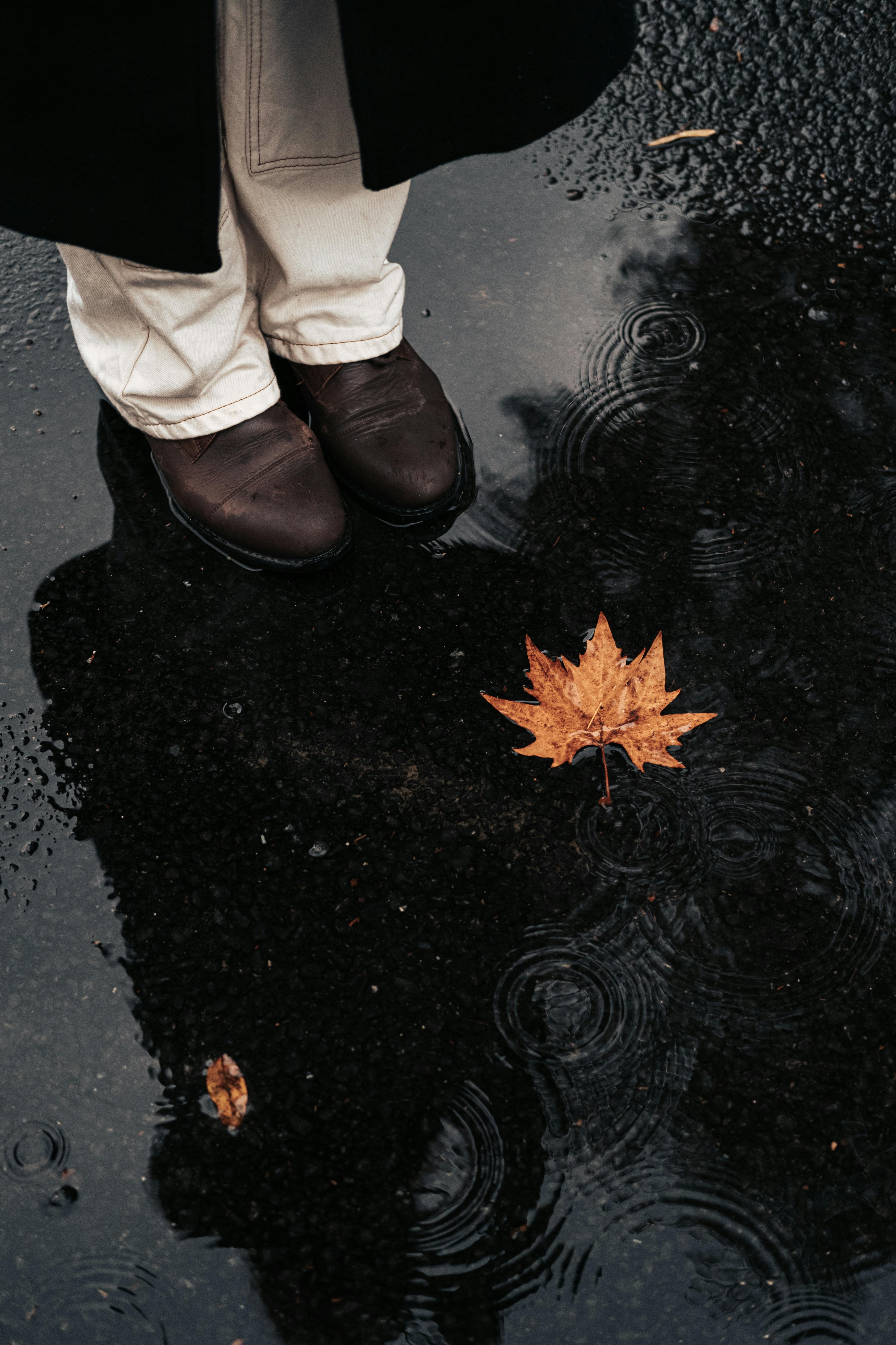 Autumn Shoes Photos, Download The BEST Free Autumn Shoes Stock Photos ...
