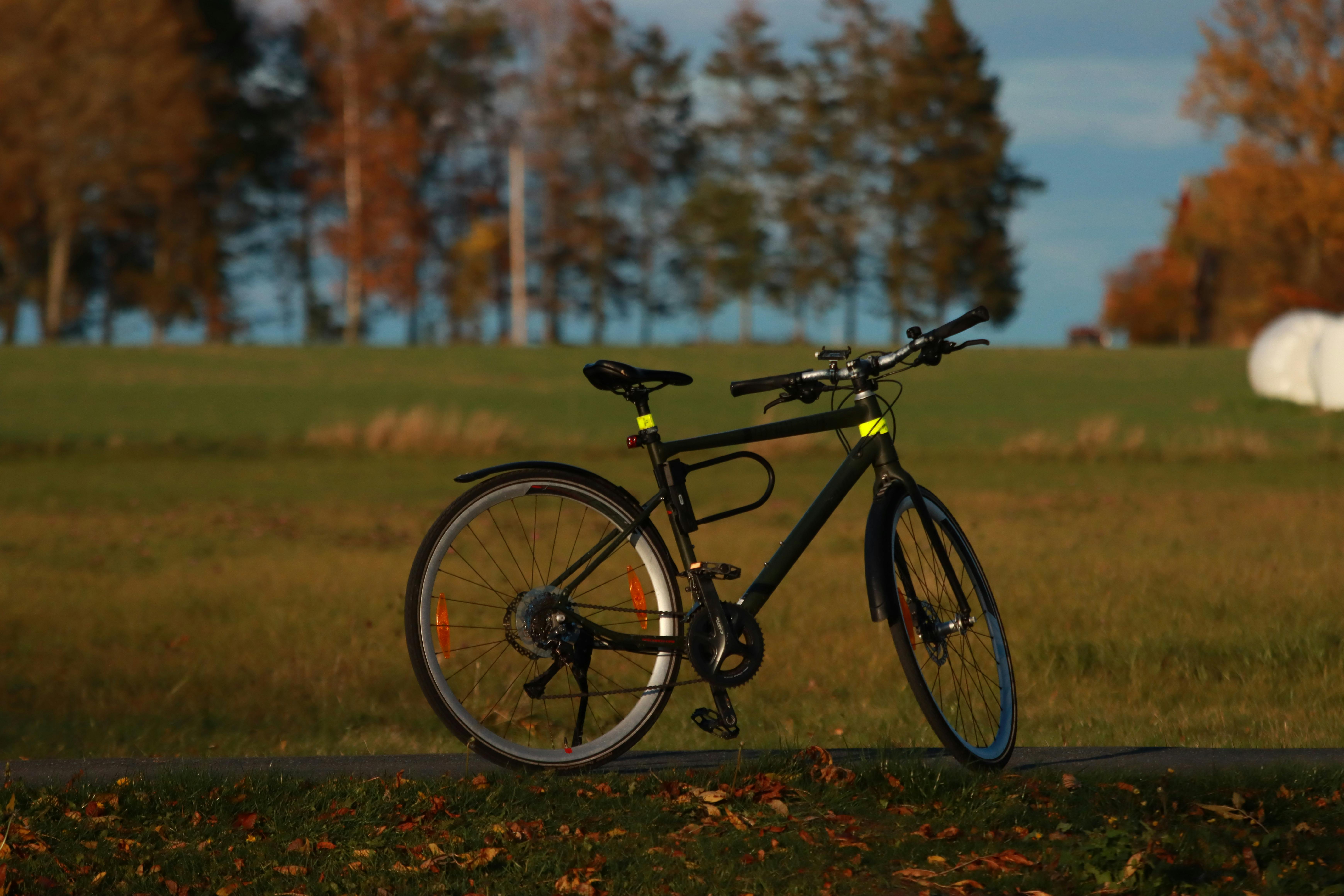 Photo of a Black Bicycle Near the Gras · Free Stock Photo
