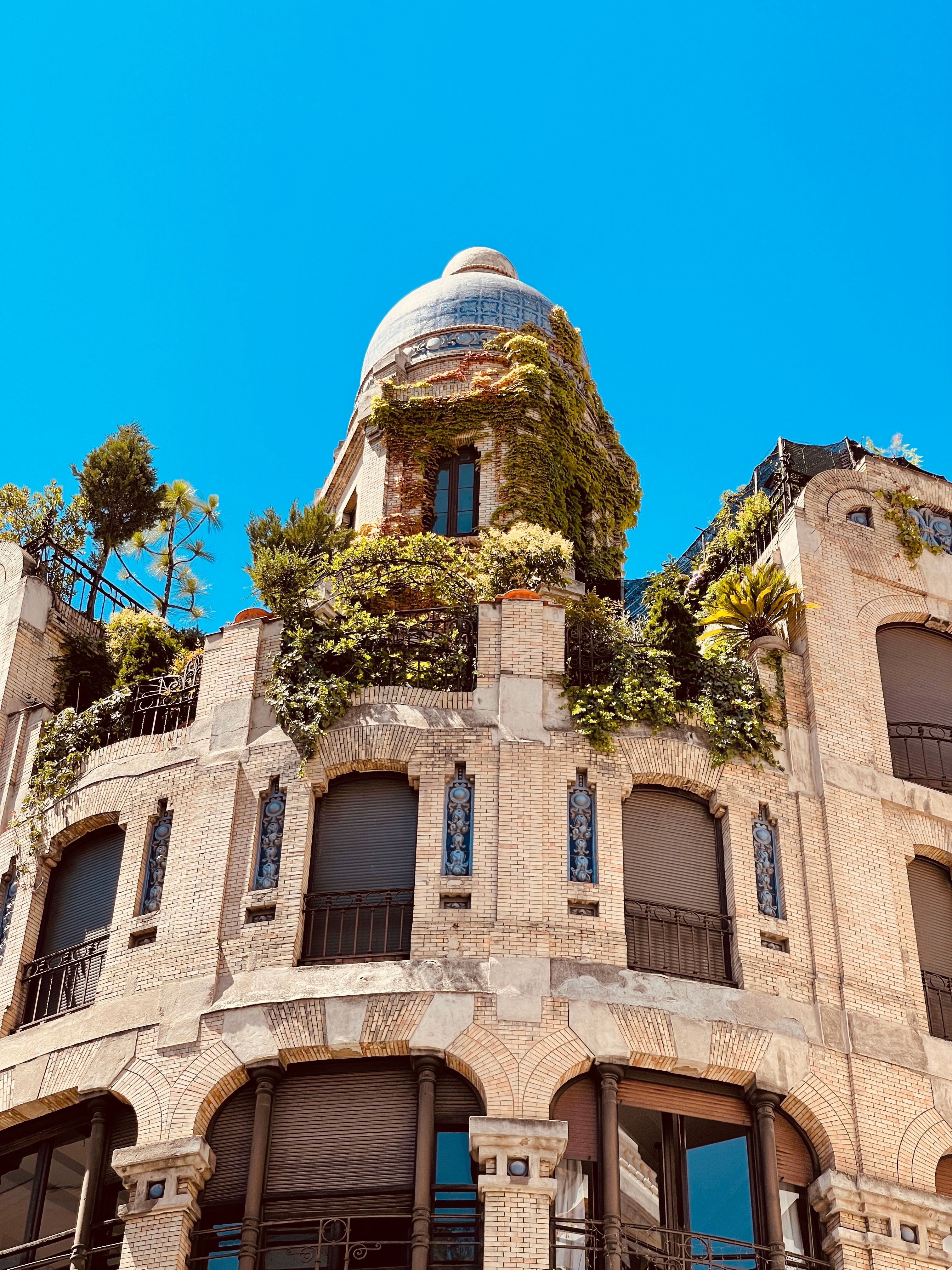 Plants on Building Wall · Free Stock Photo