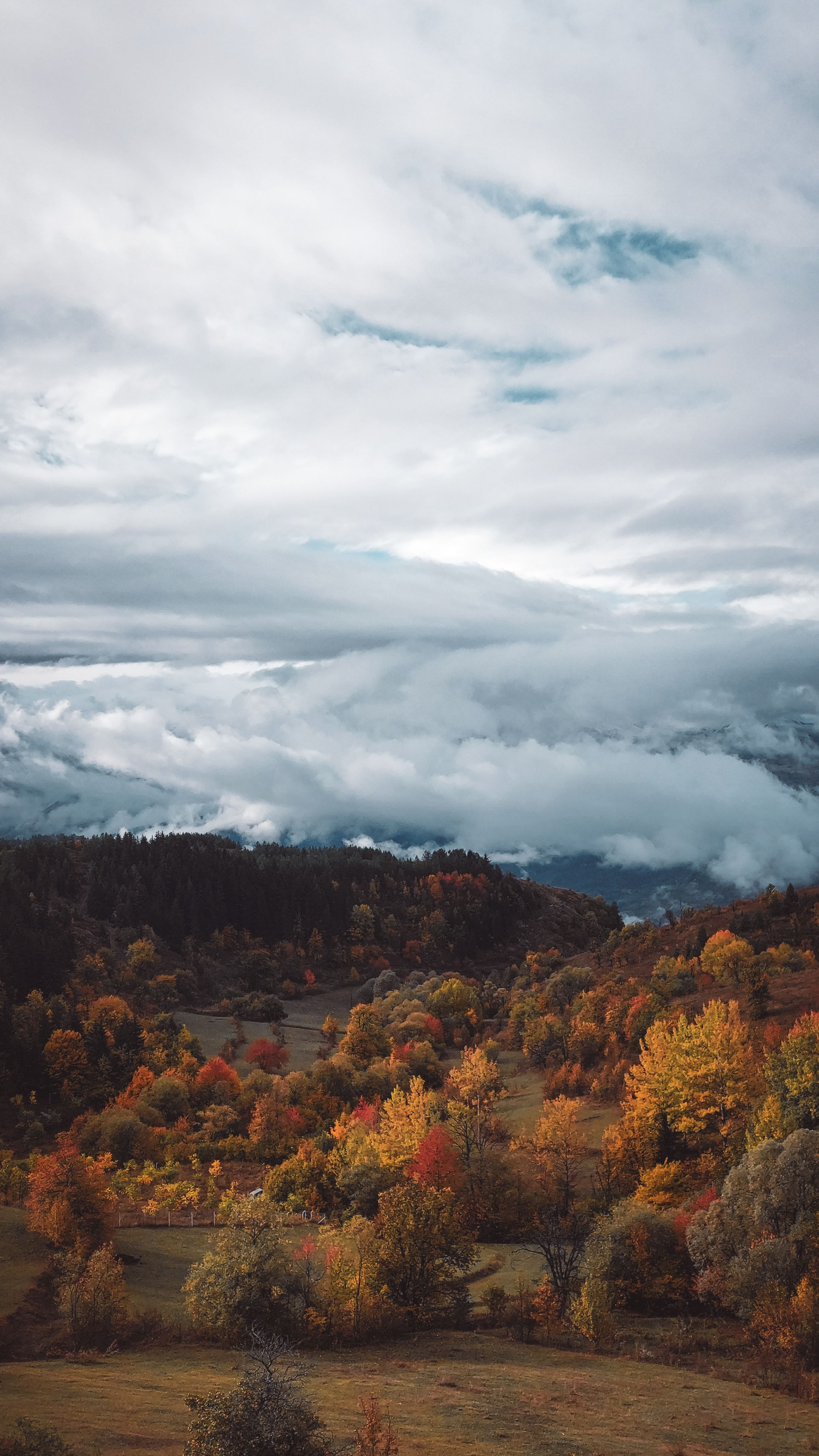 Autmn Photos, Download The BEST Free Autmn Stock Photos & HD Images