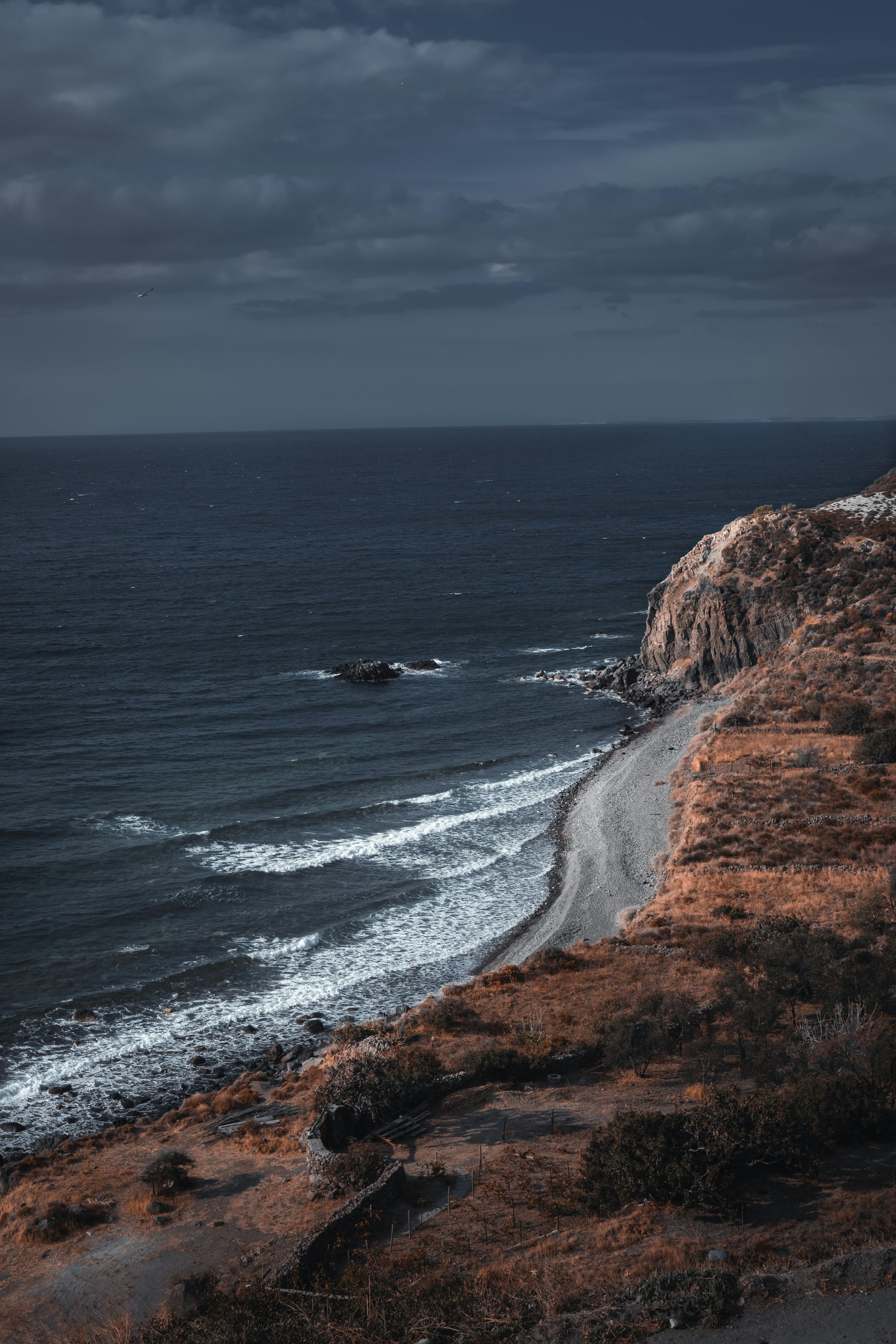 Aerial View of a Beach Shoreline · Free Stock Photo