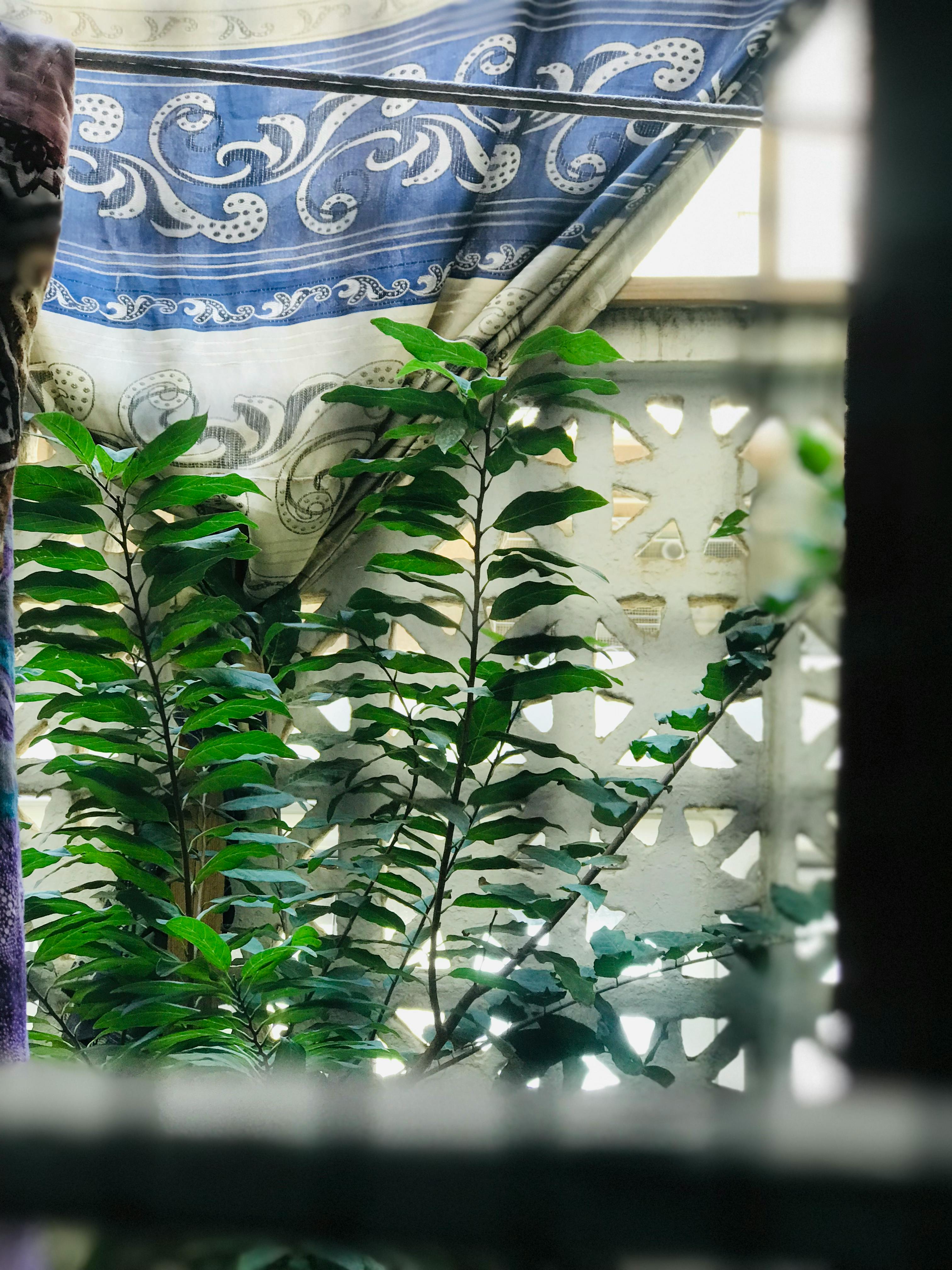 Muhammad Zain - Photographie