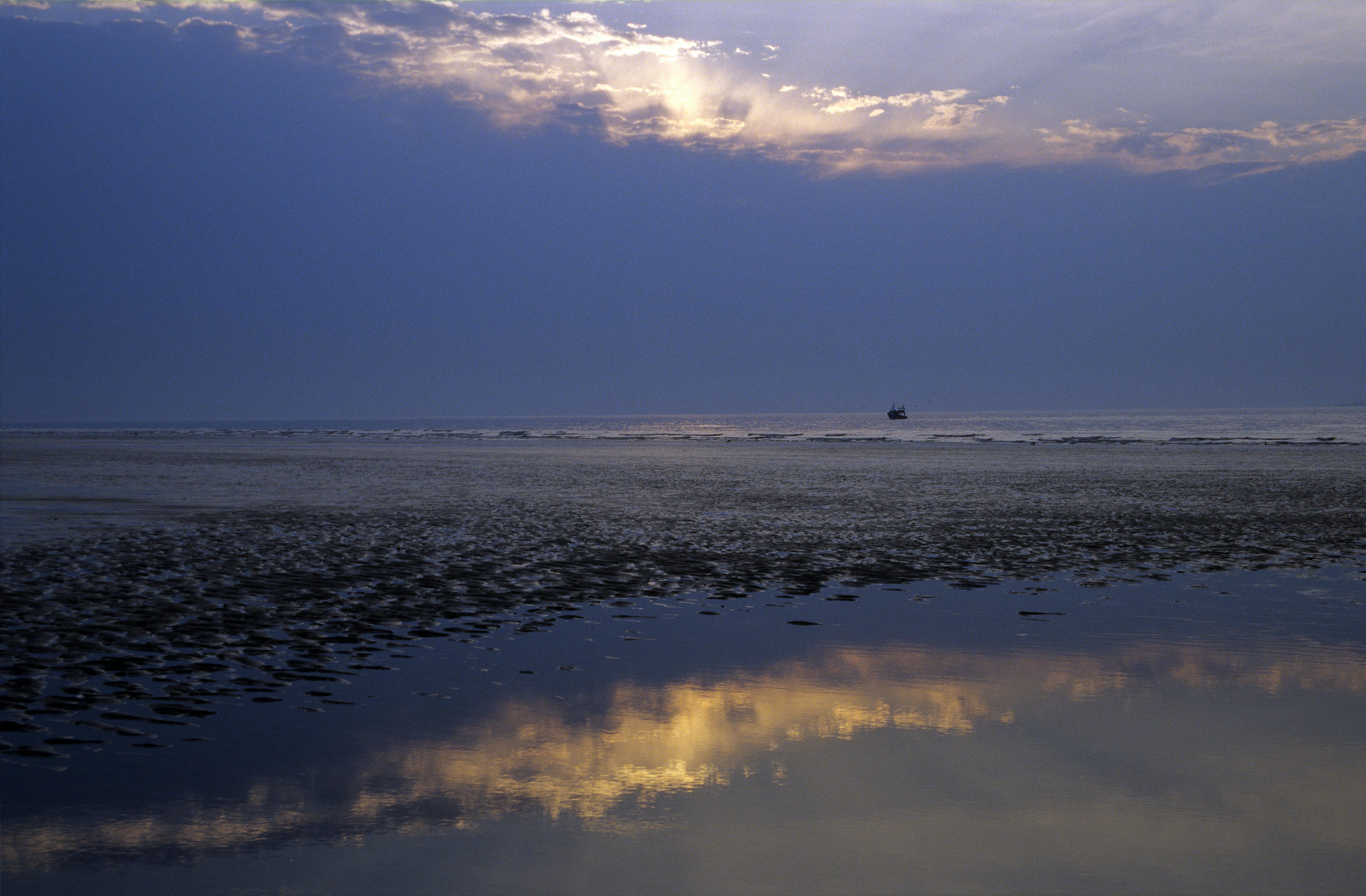 Horizon Beach Photos, Download The BEST Free Horizon Beach Stock Photos ...