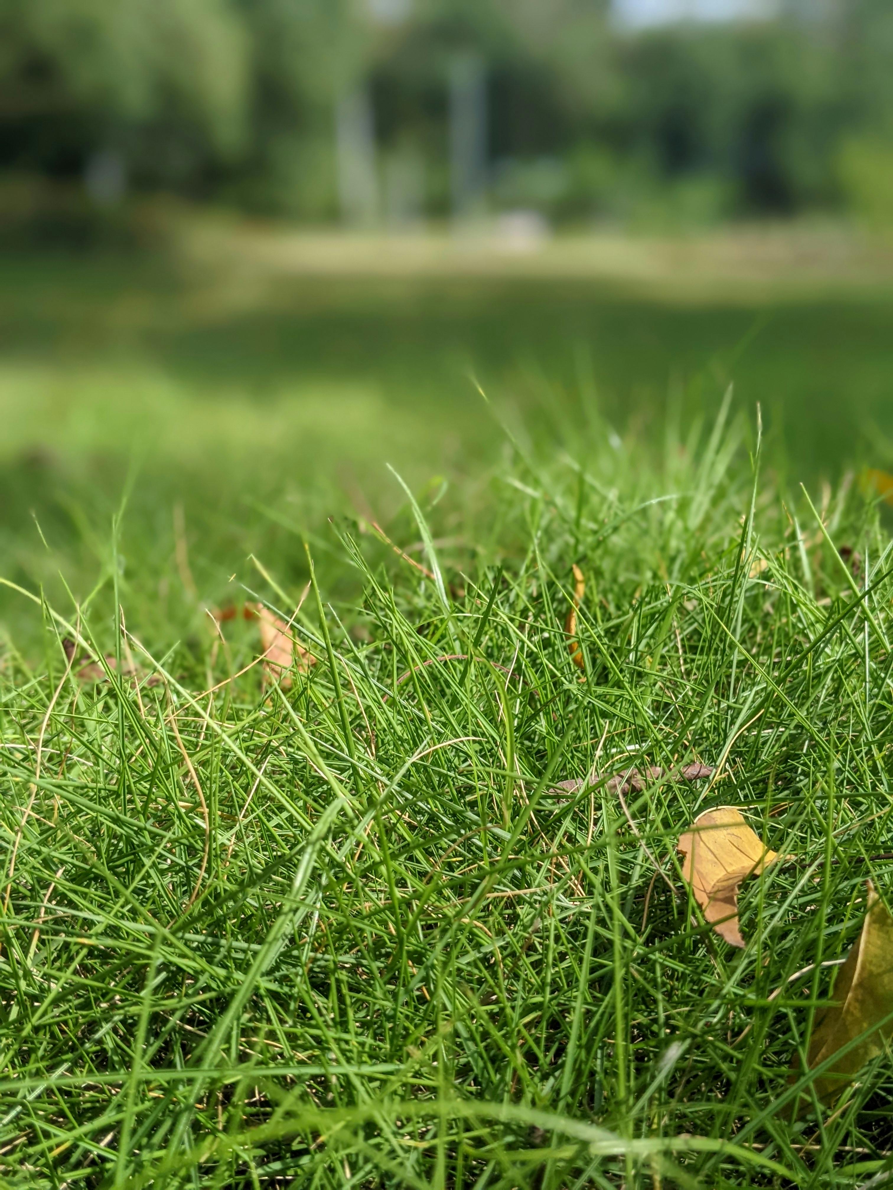 Moise Barten - Fotografía