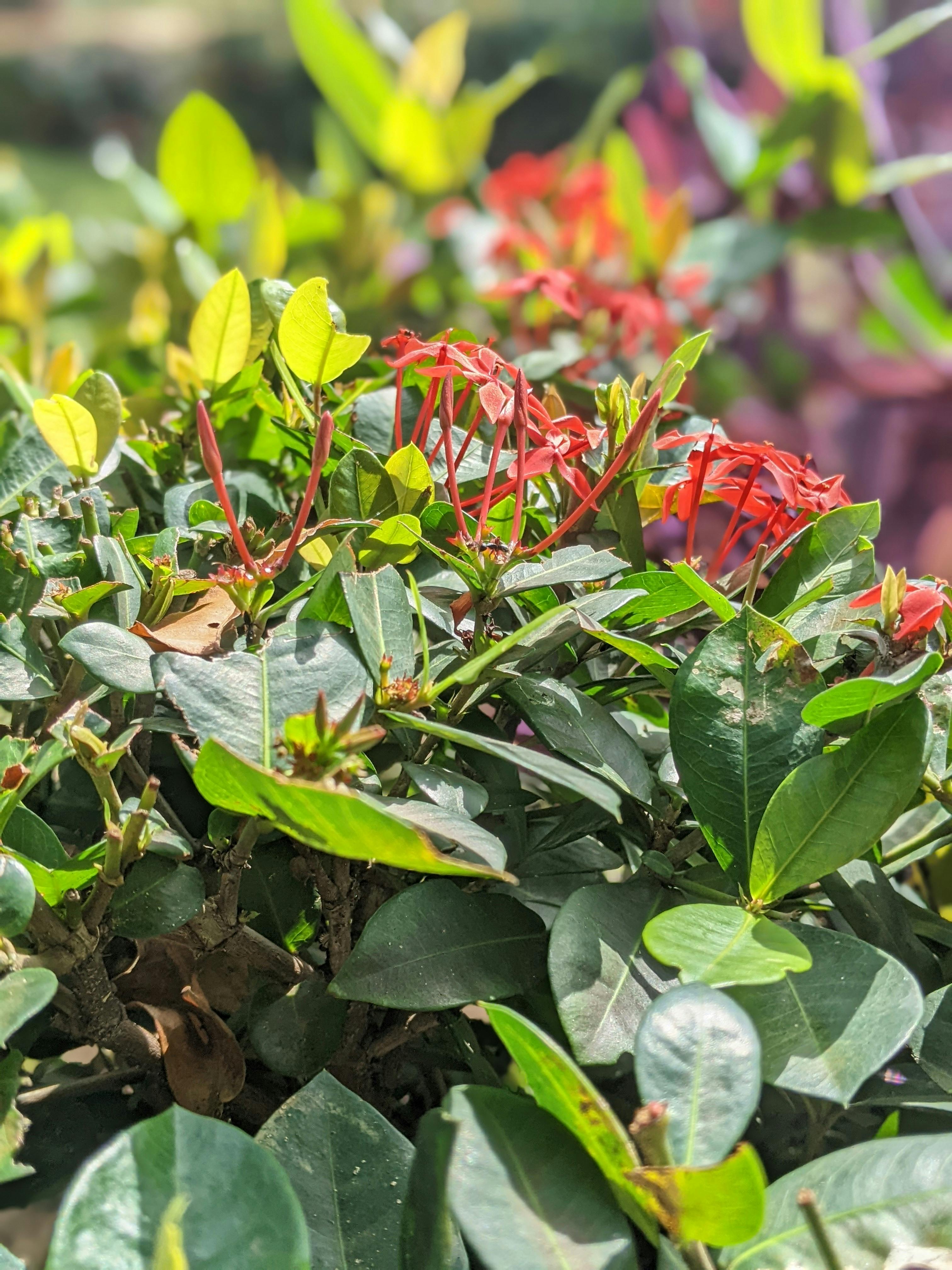 Moise Barten - Fotografía