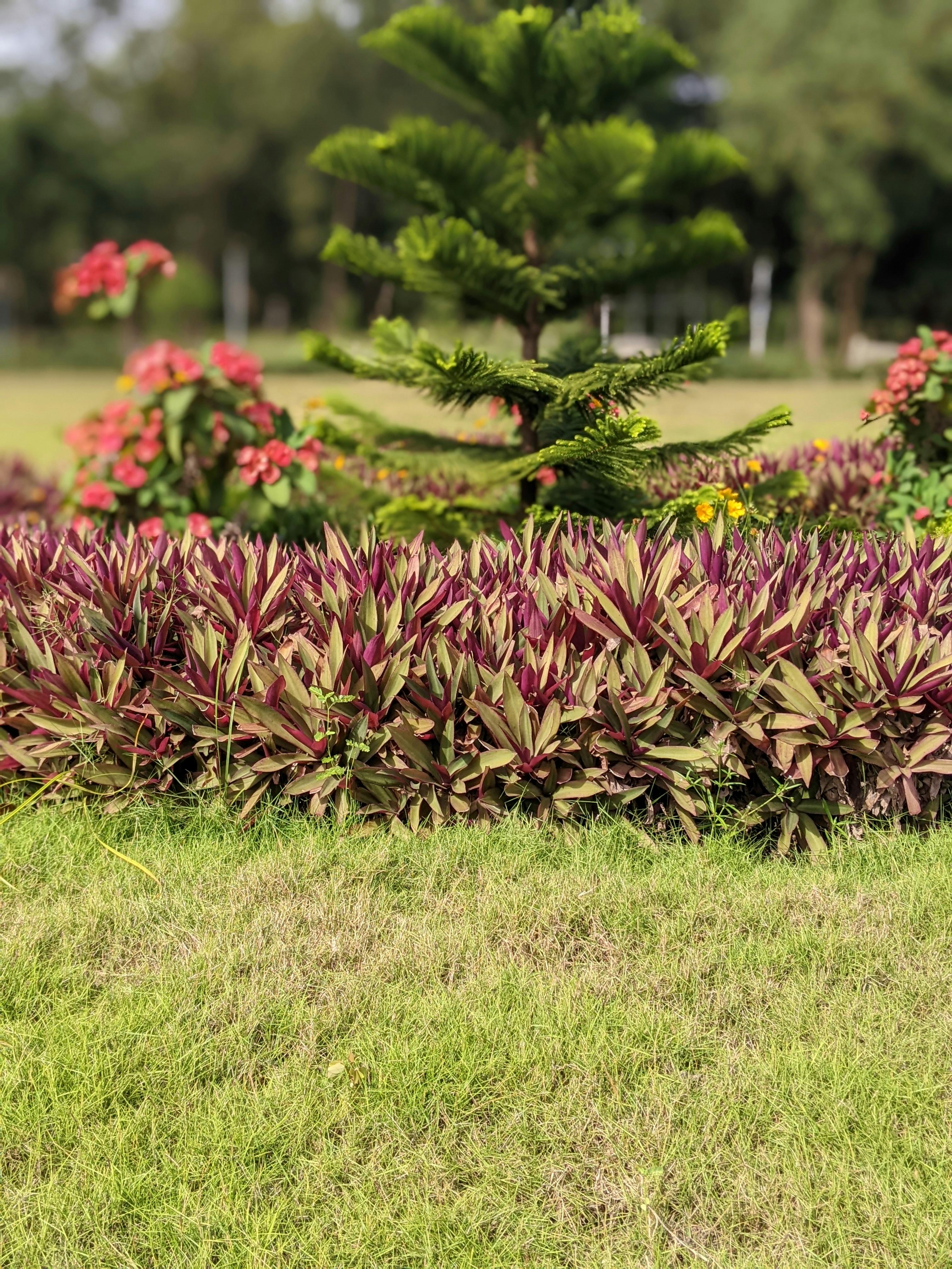 Moise Barten - Fotografía
