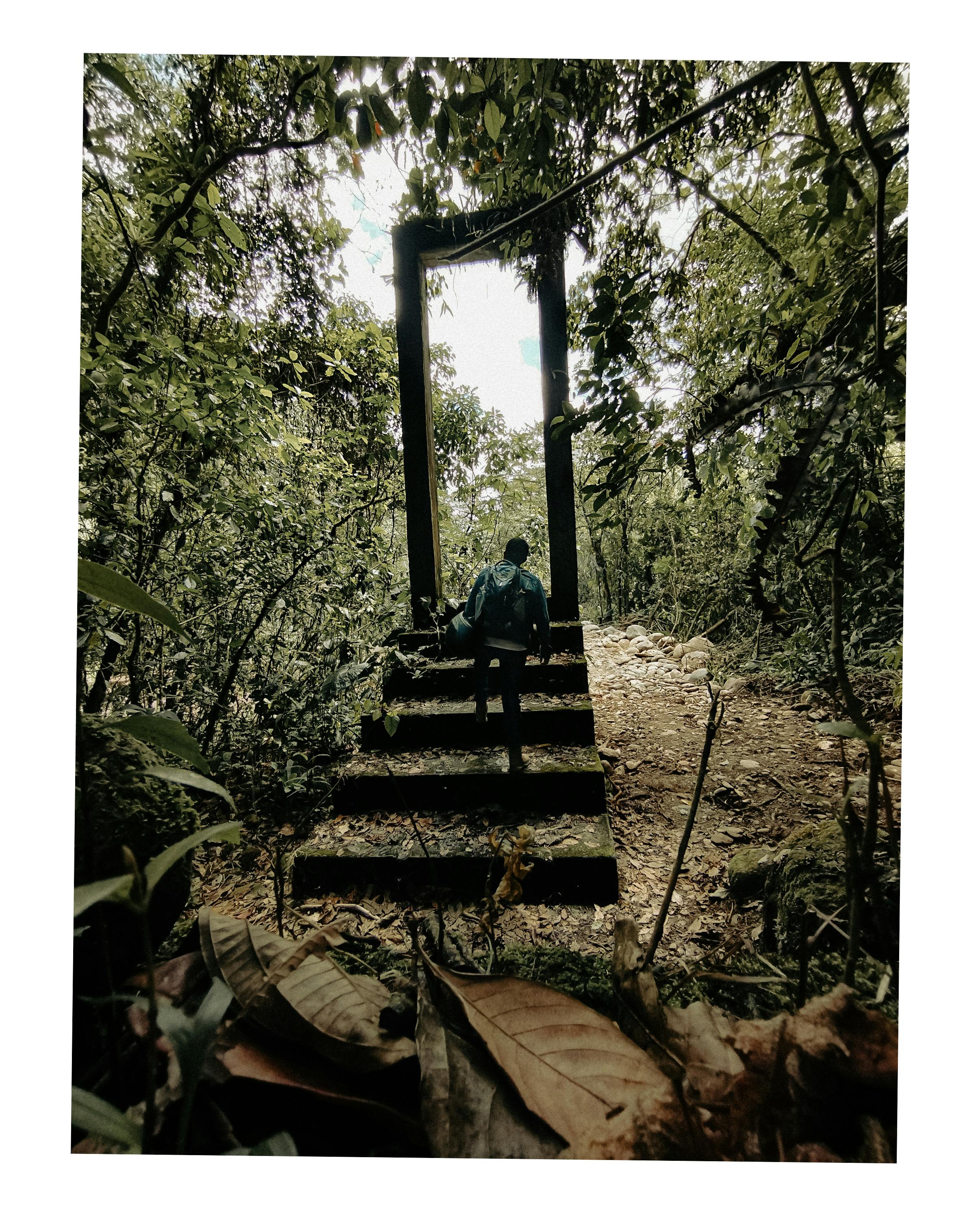 ISmael Nieves - 사진