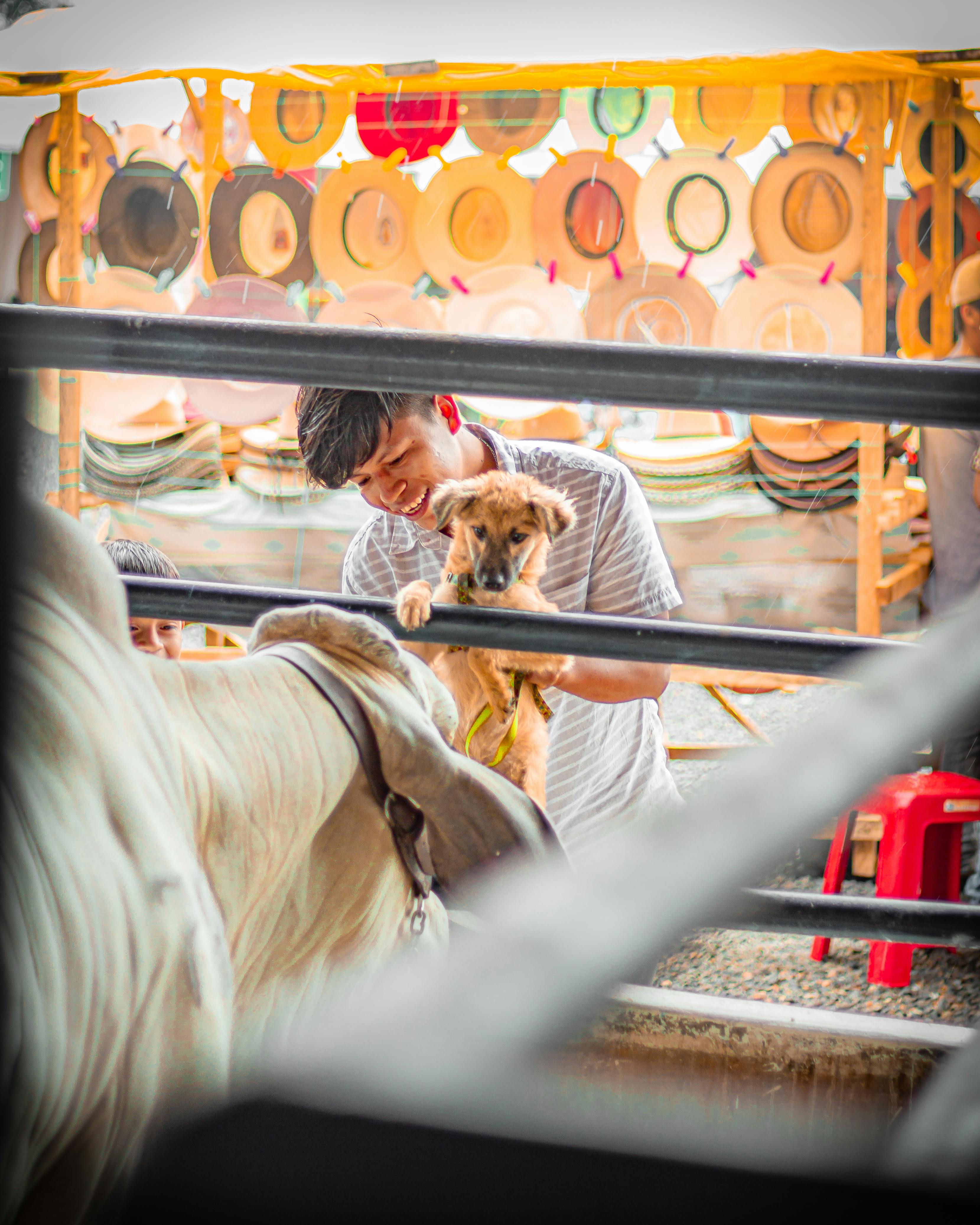 ISmael Nieves - 사진