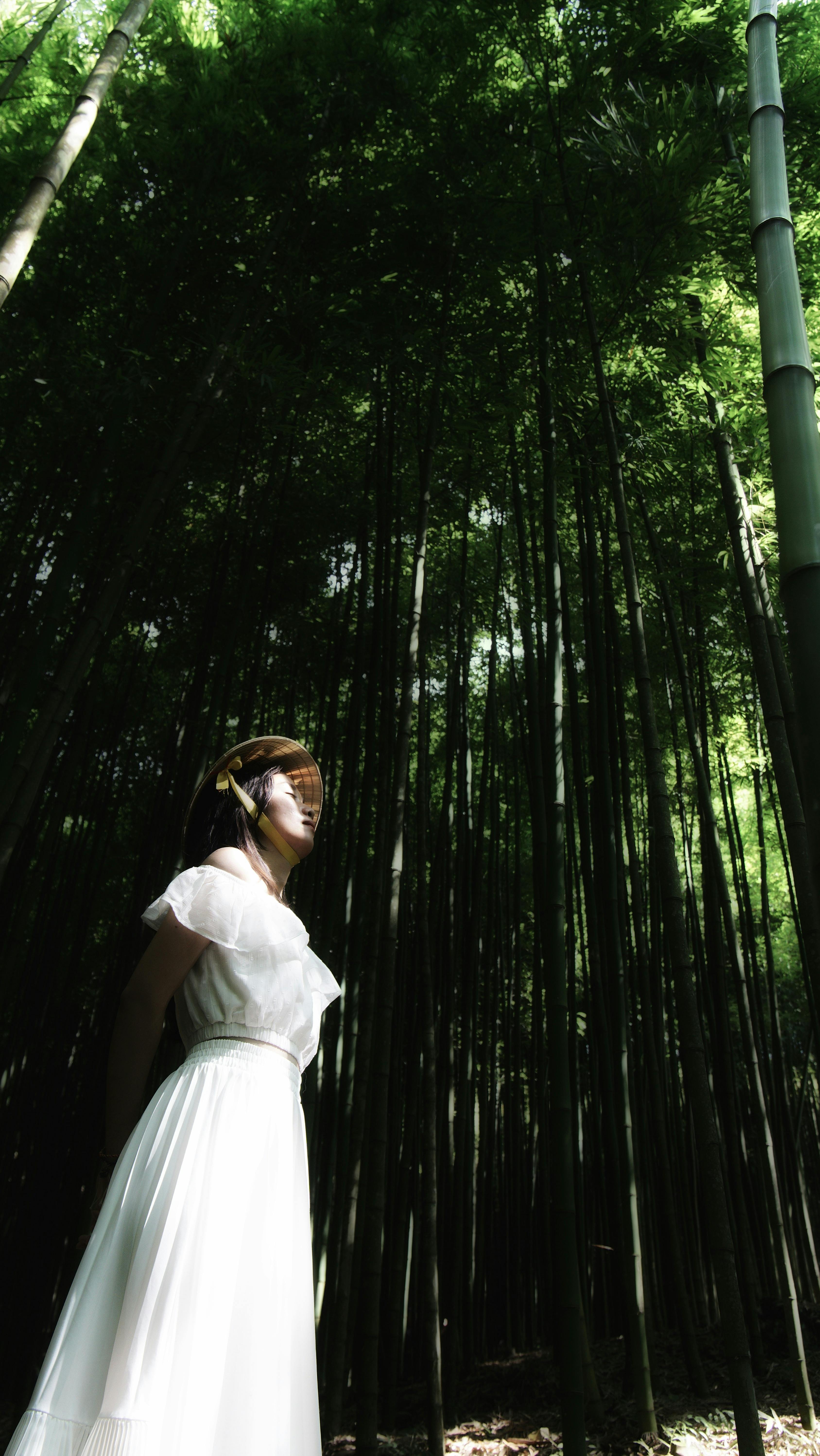 Bamboo Packaging Photos, Download The BEST Free Bamboo Packaging Stock ...