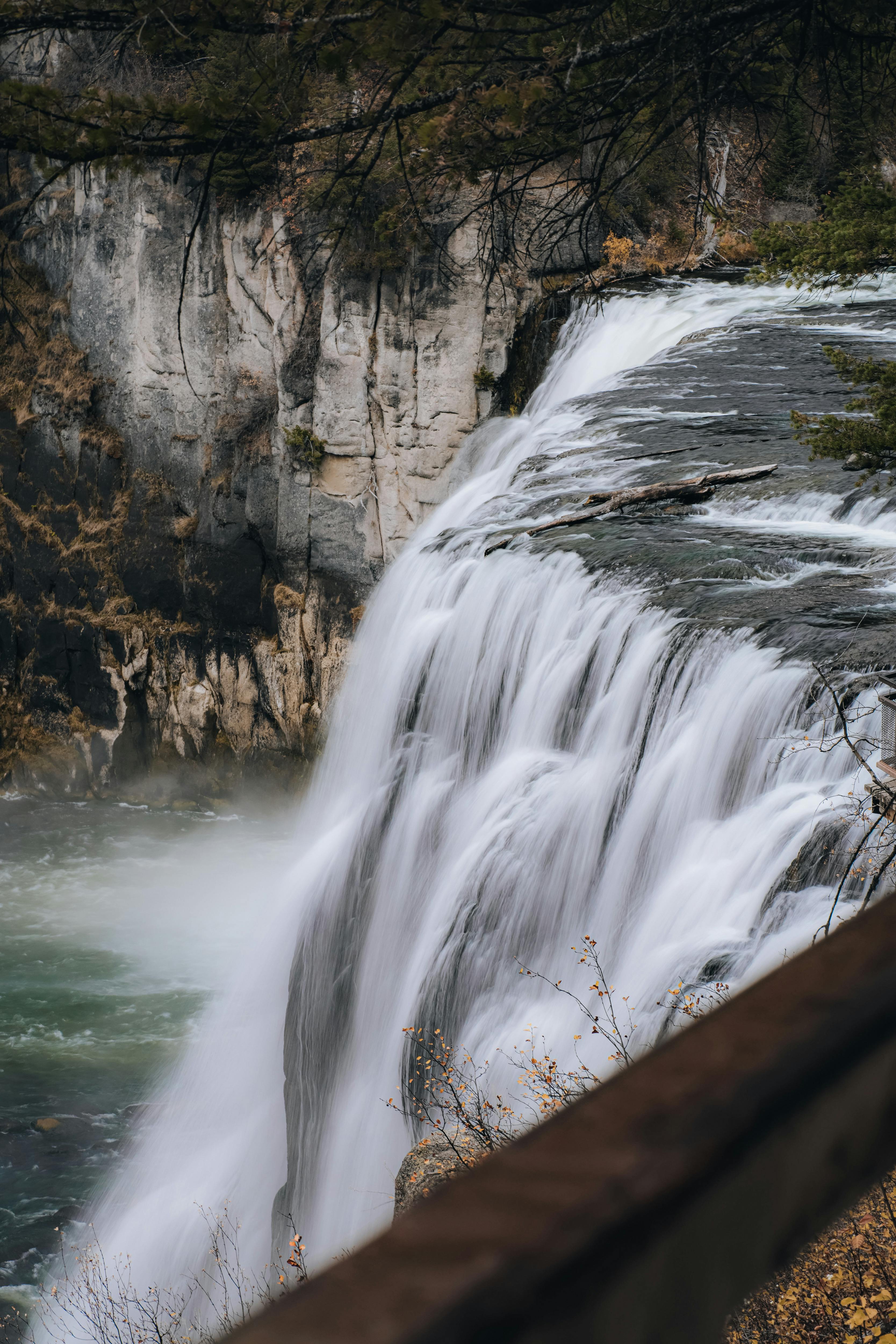 Tree Branches Over the Waterfalls · Free Stock Photo