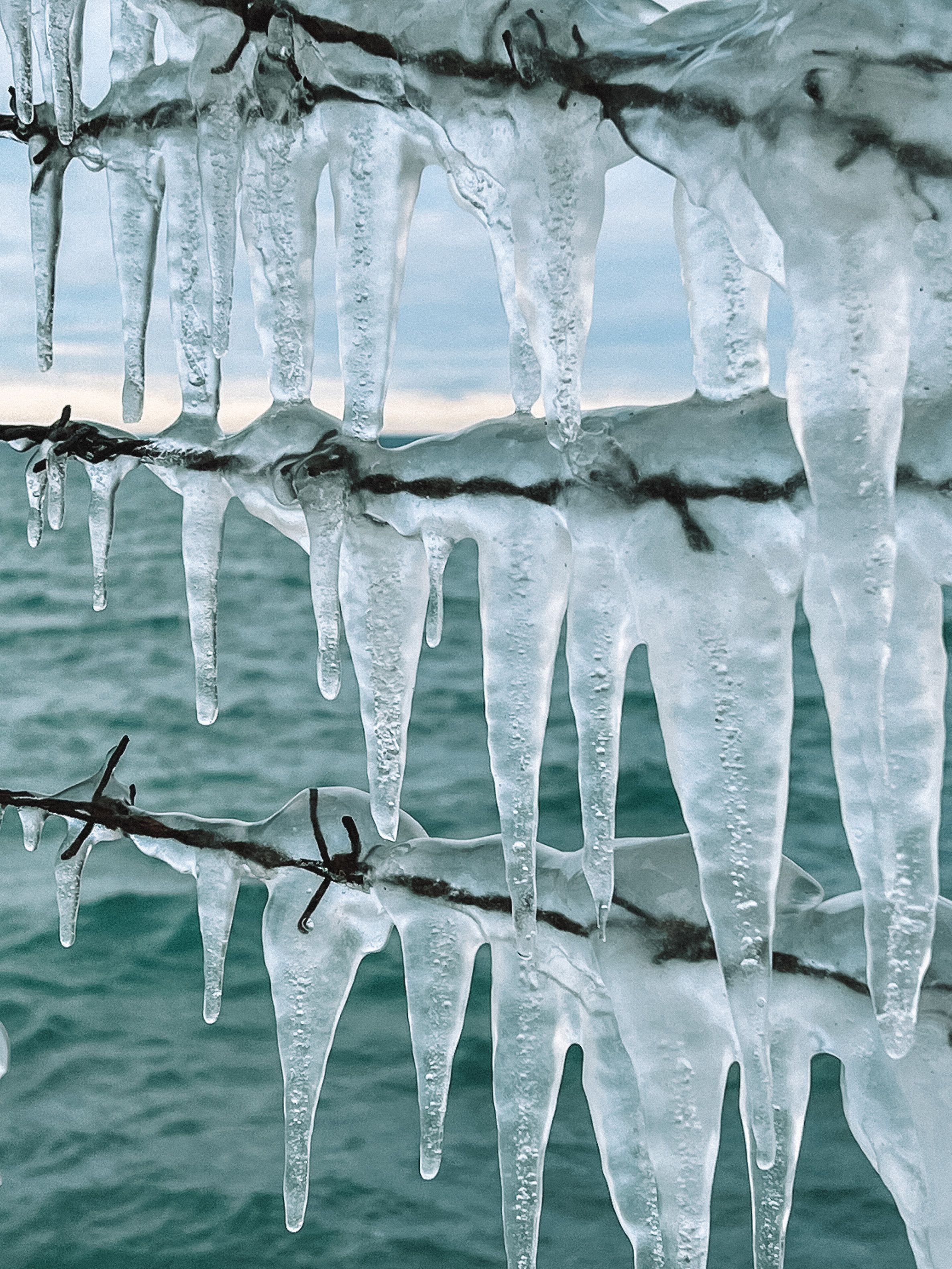 Frozen Barbed Wires · Free Stock Photo