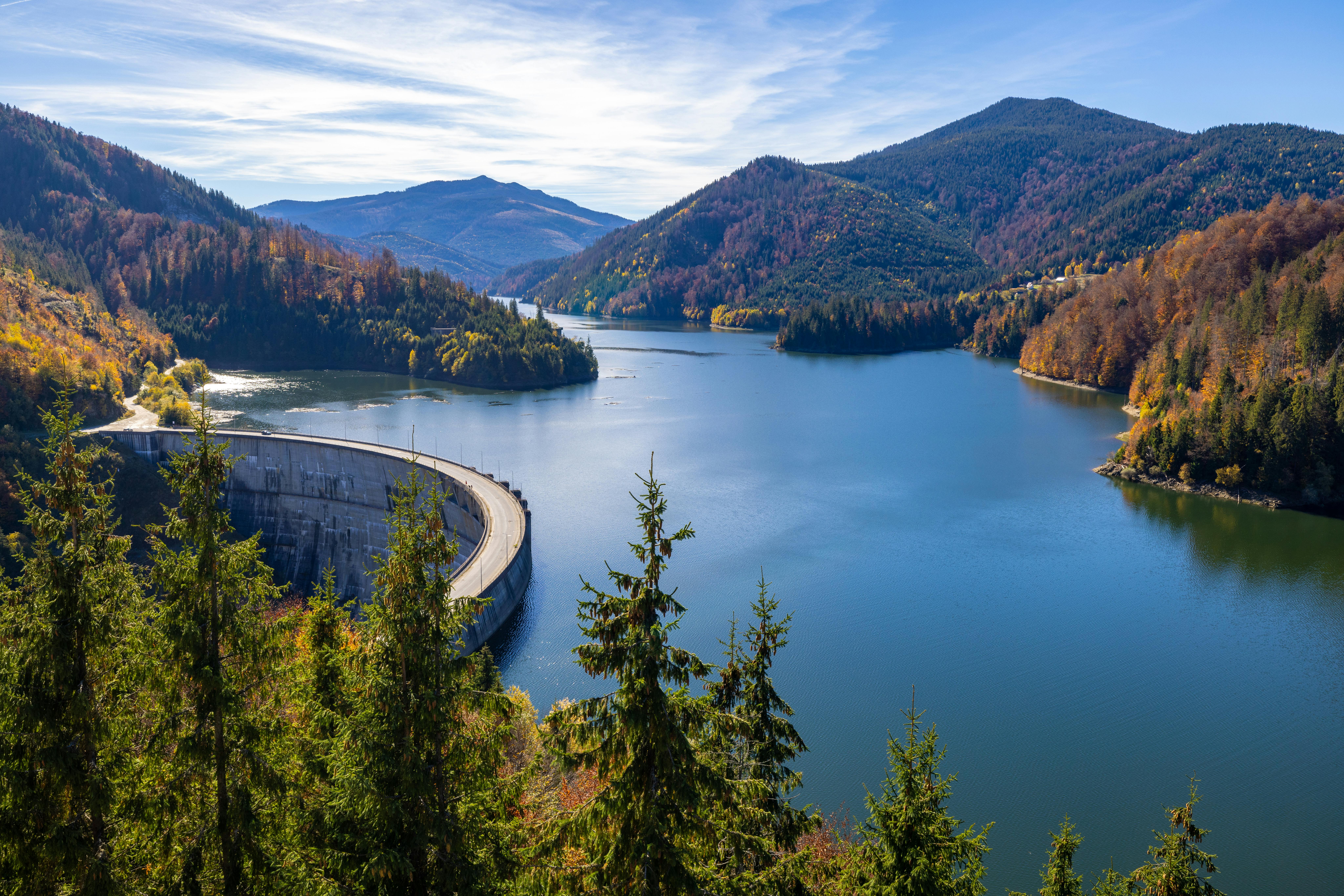 Dragan Photos, Download The BEST Free Dragan Stock Photos & HD Images