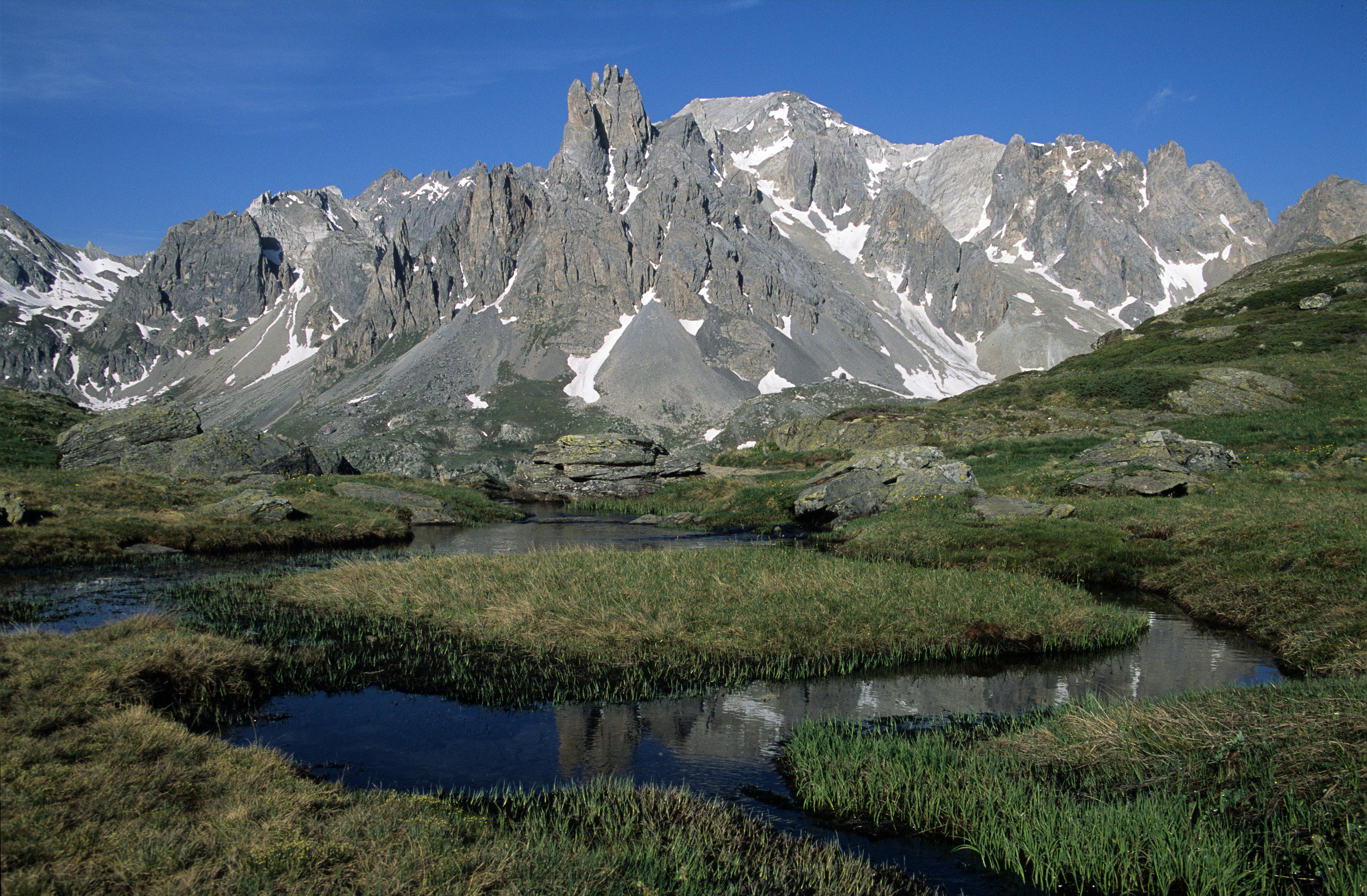 Grafic De Cerc Photos, Download The BEST Free Grafic De Cerc Stock ...