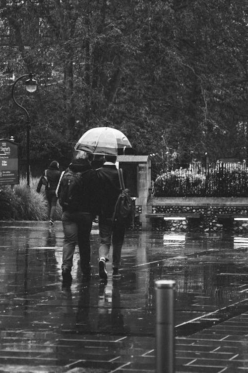 Pedestrians Walking under an Umbrella during Rain · Free Stock Photo Pedestrians Walking under an Umbrella during Rain · Free Stock Photo