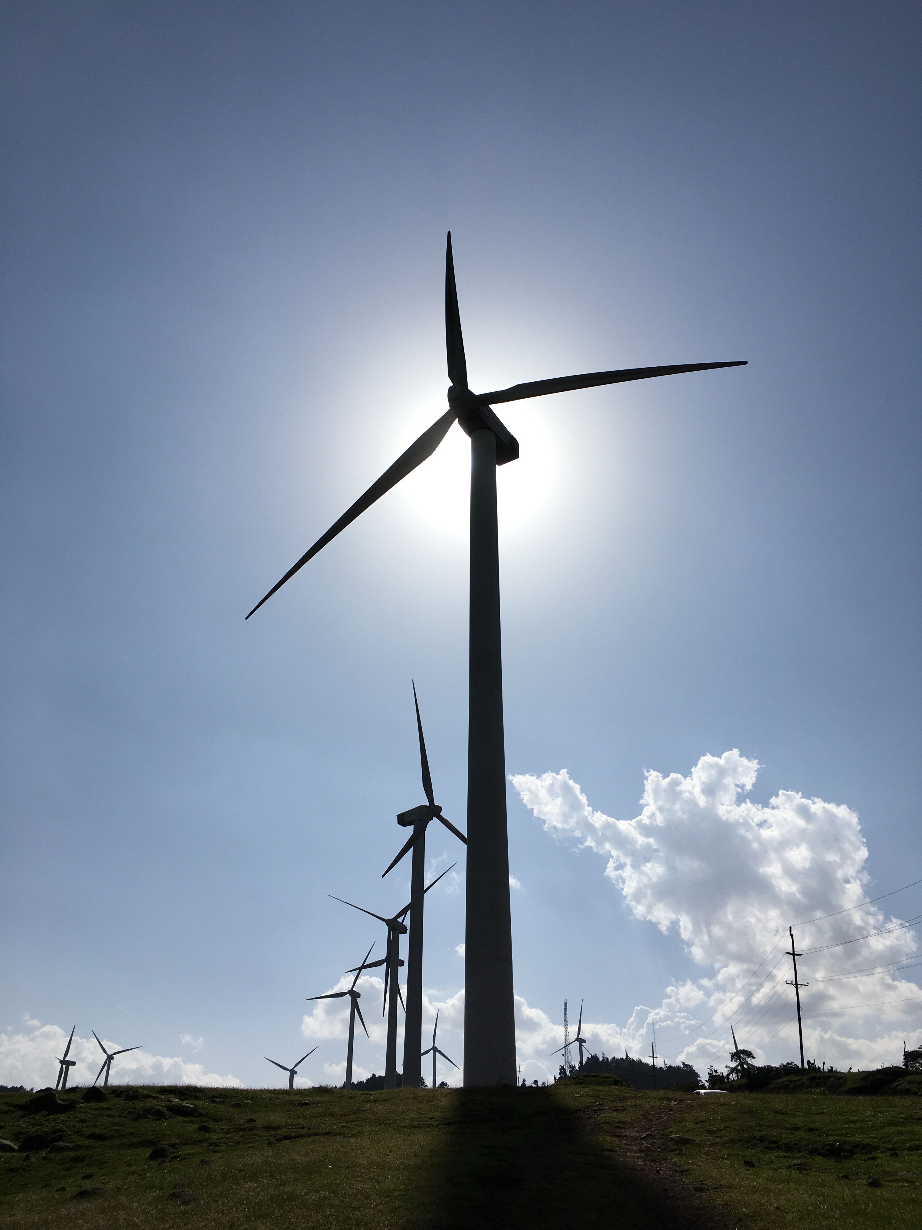 Wind Spinners Photos, Download The BEST Free Wind Spinners Stock Photos ...