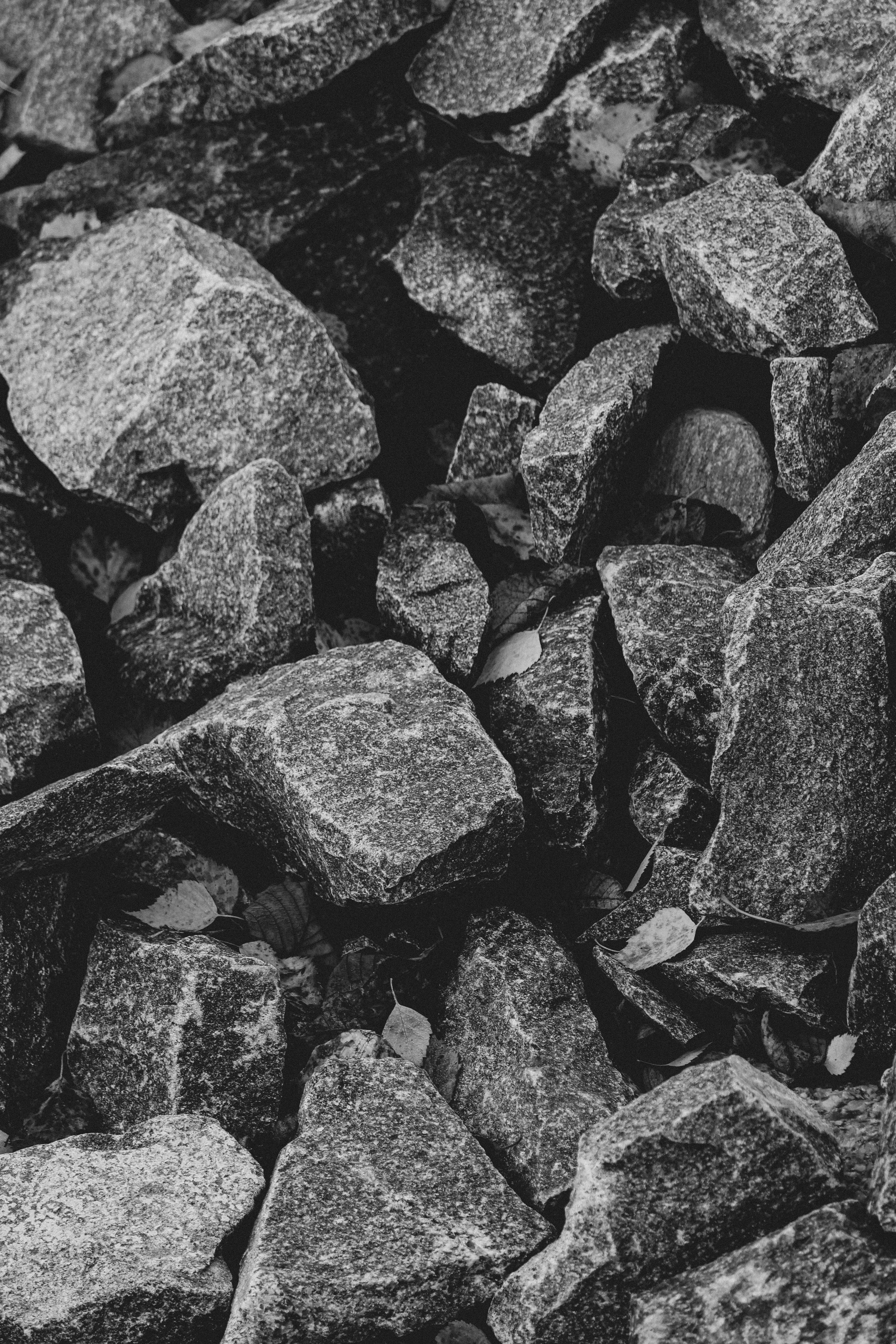 Grayscale Photo of Rocks · Free Stock Photo