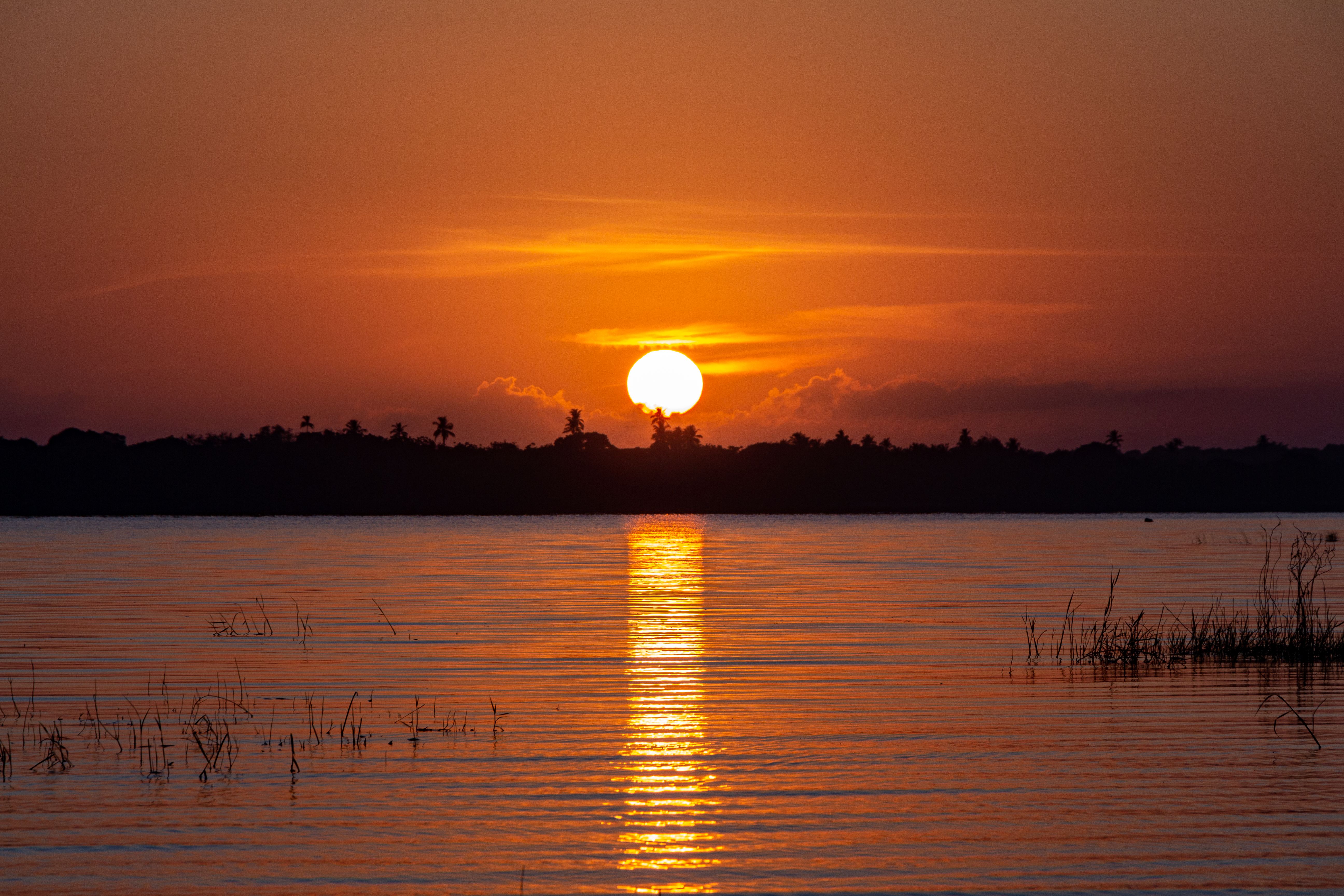 A Scenic Shot of the Red River Delta · Free Stock Photo