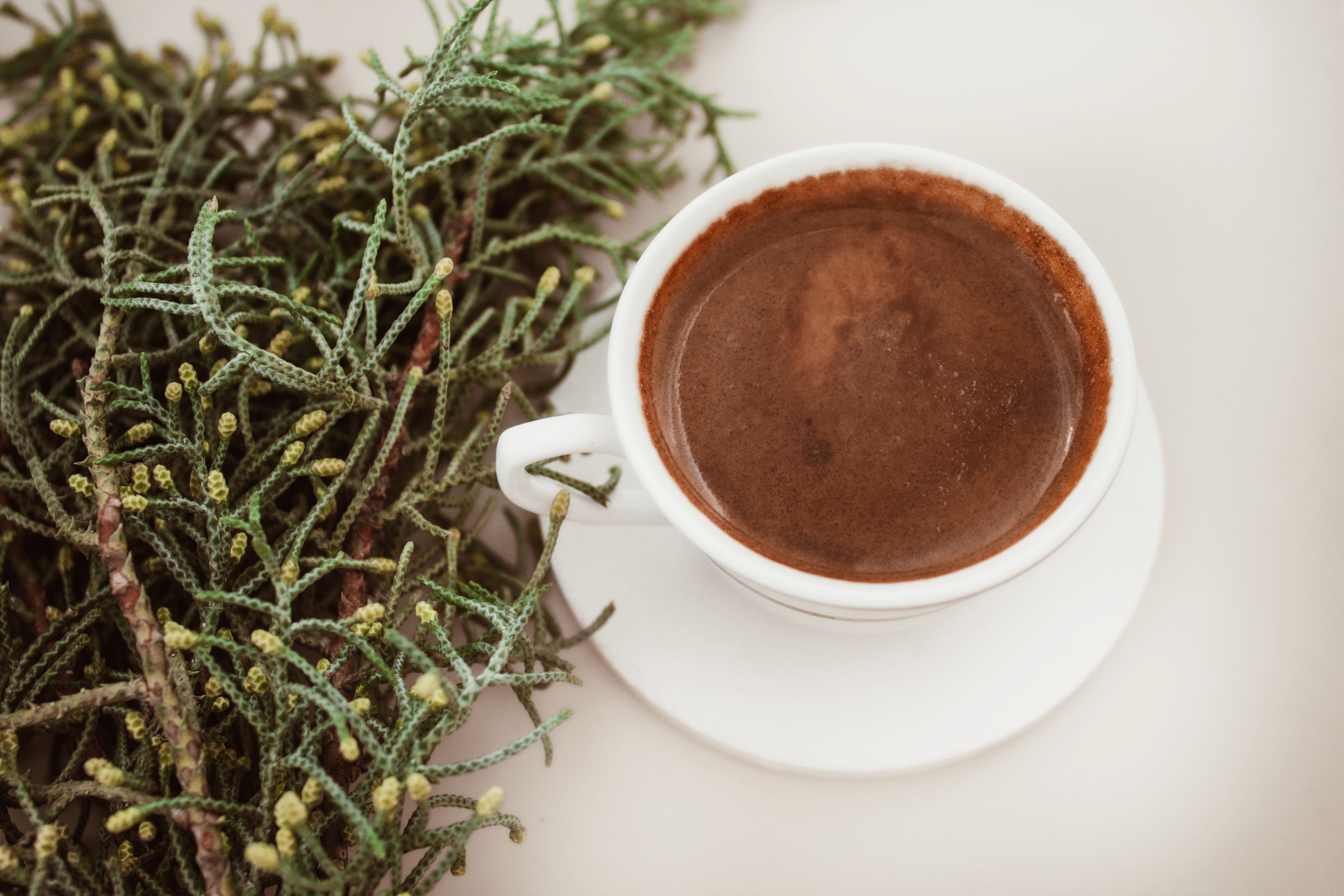 Hot Choco on Black Mug · Free Stock Photo