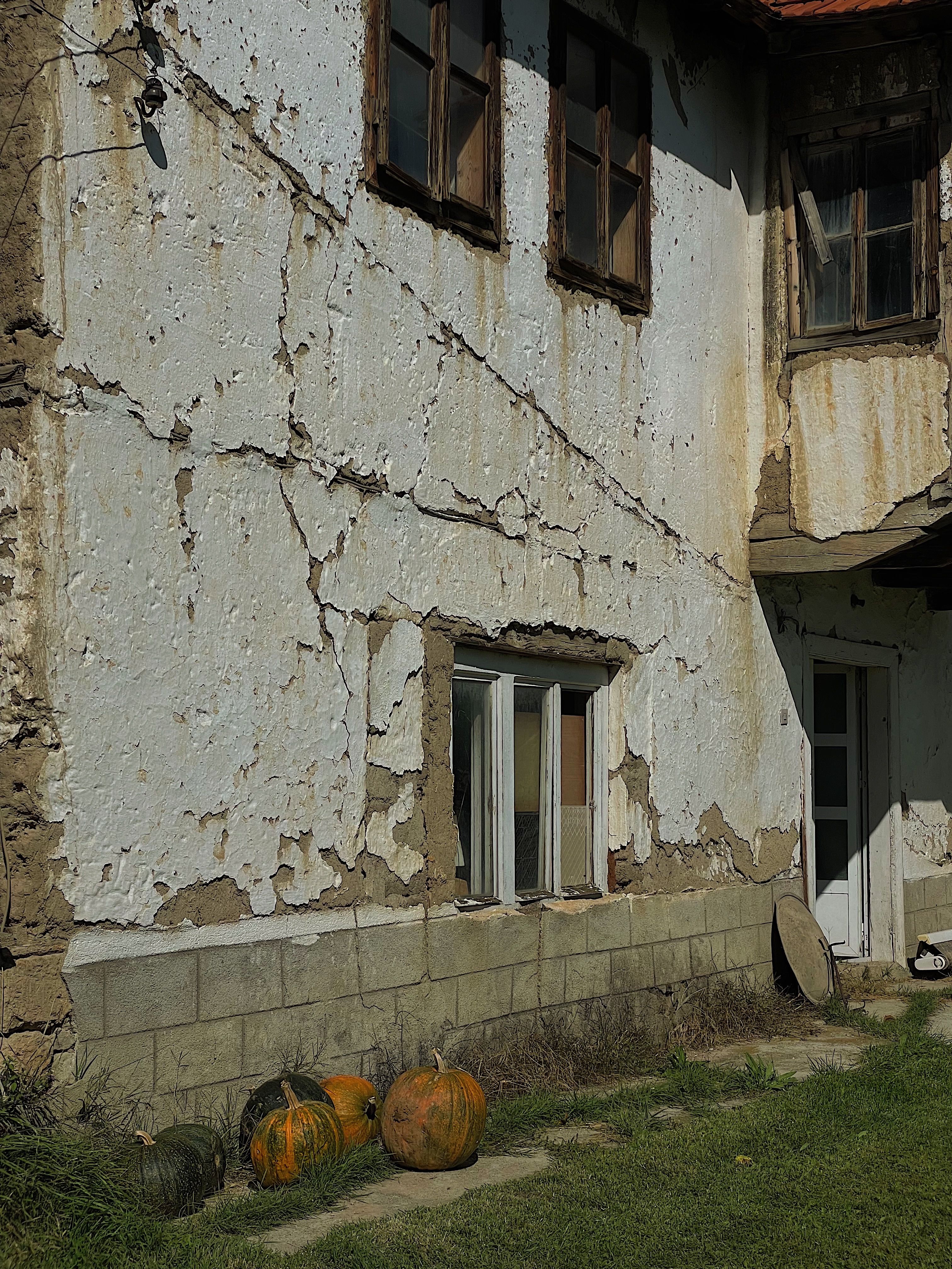 Residential Multi-Storey Building and Pumpkins Lying on the Ground ...